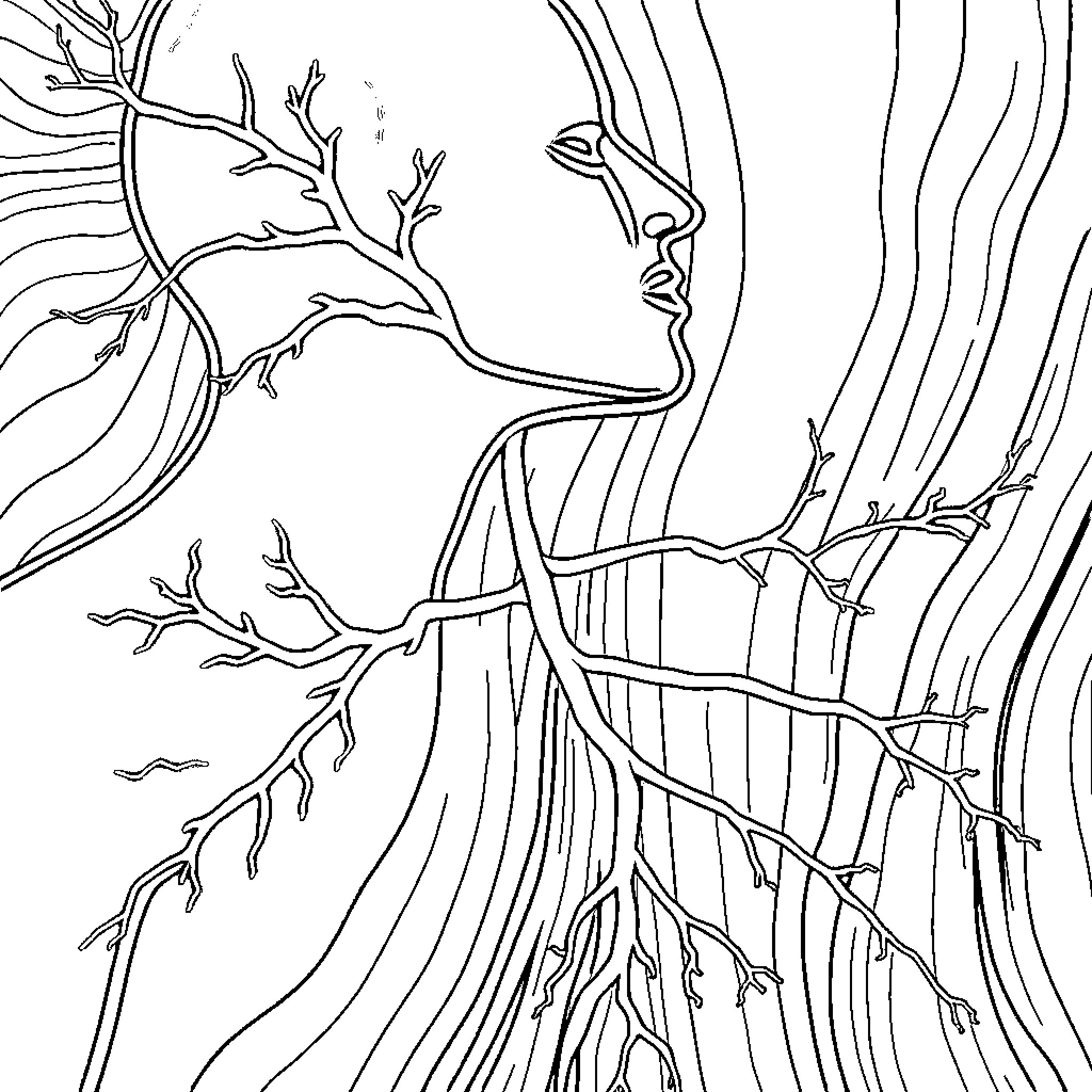 Best Maasai Moran Coloring Pages (Free Printable PDF)