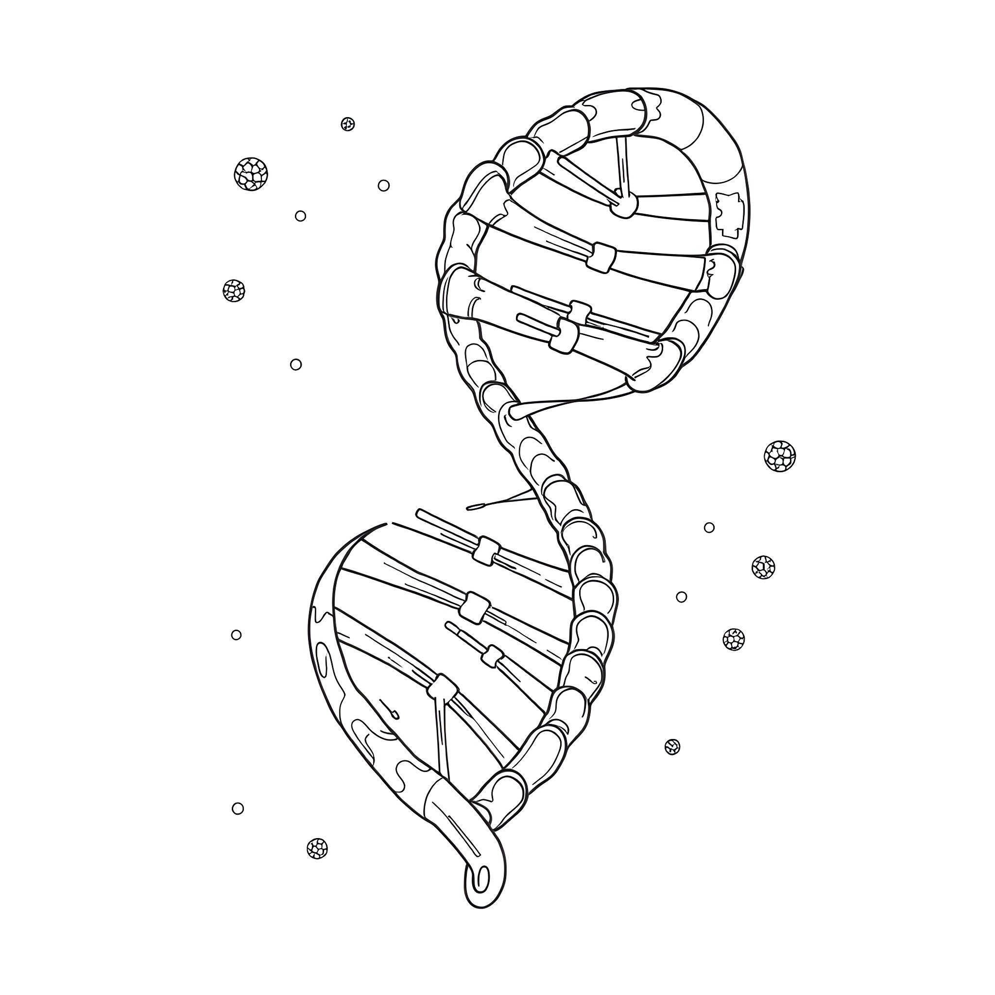 1 Best DNA Coloring Pages (Free Printable PDFs)