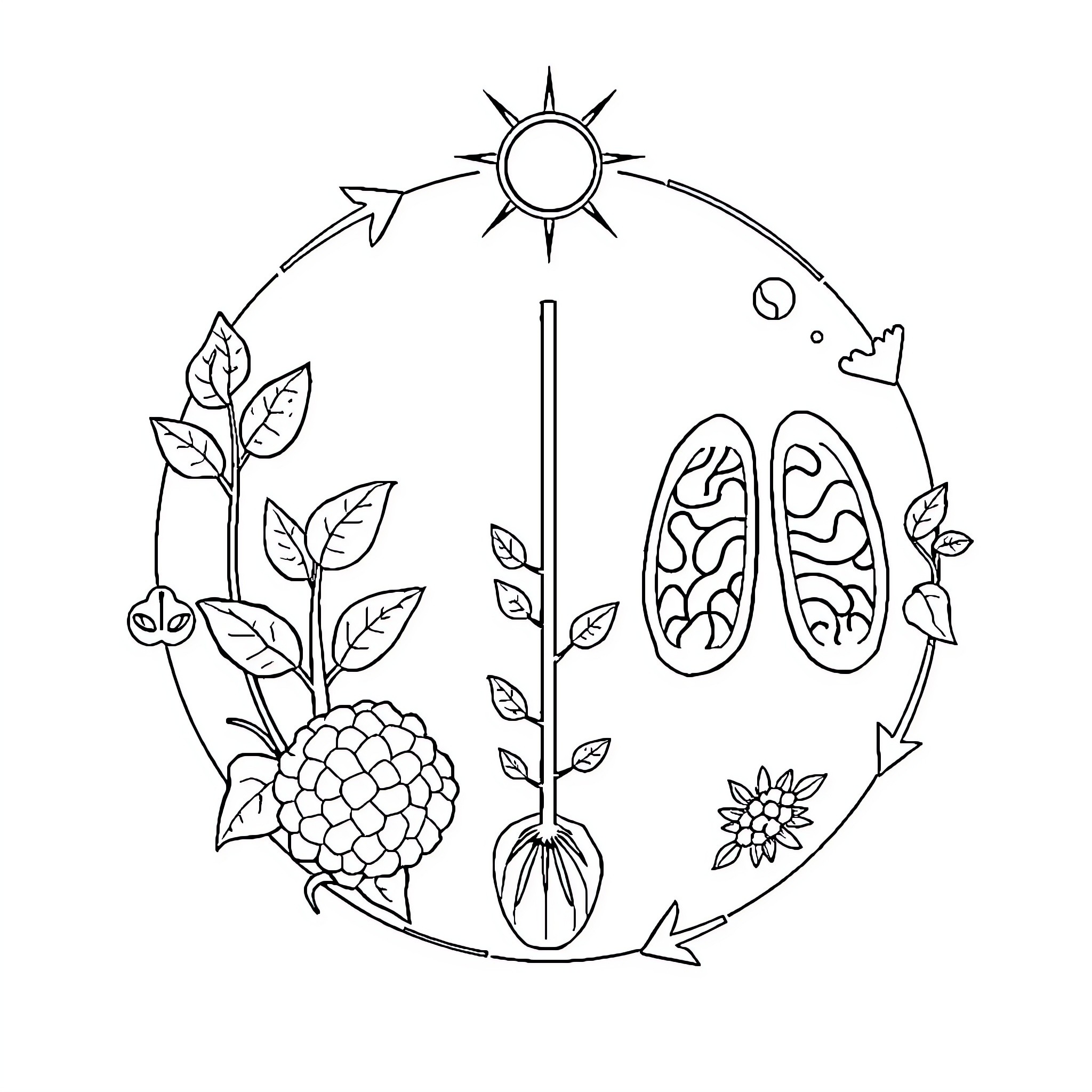 Best Polaris Slingshot Coloring Pages (Free Printable PDF)