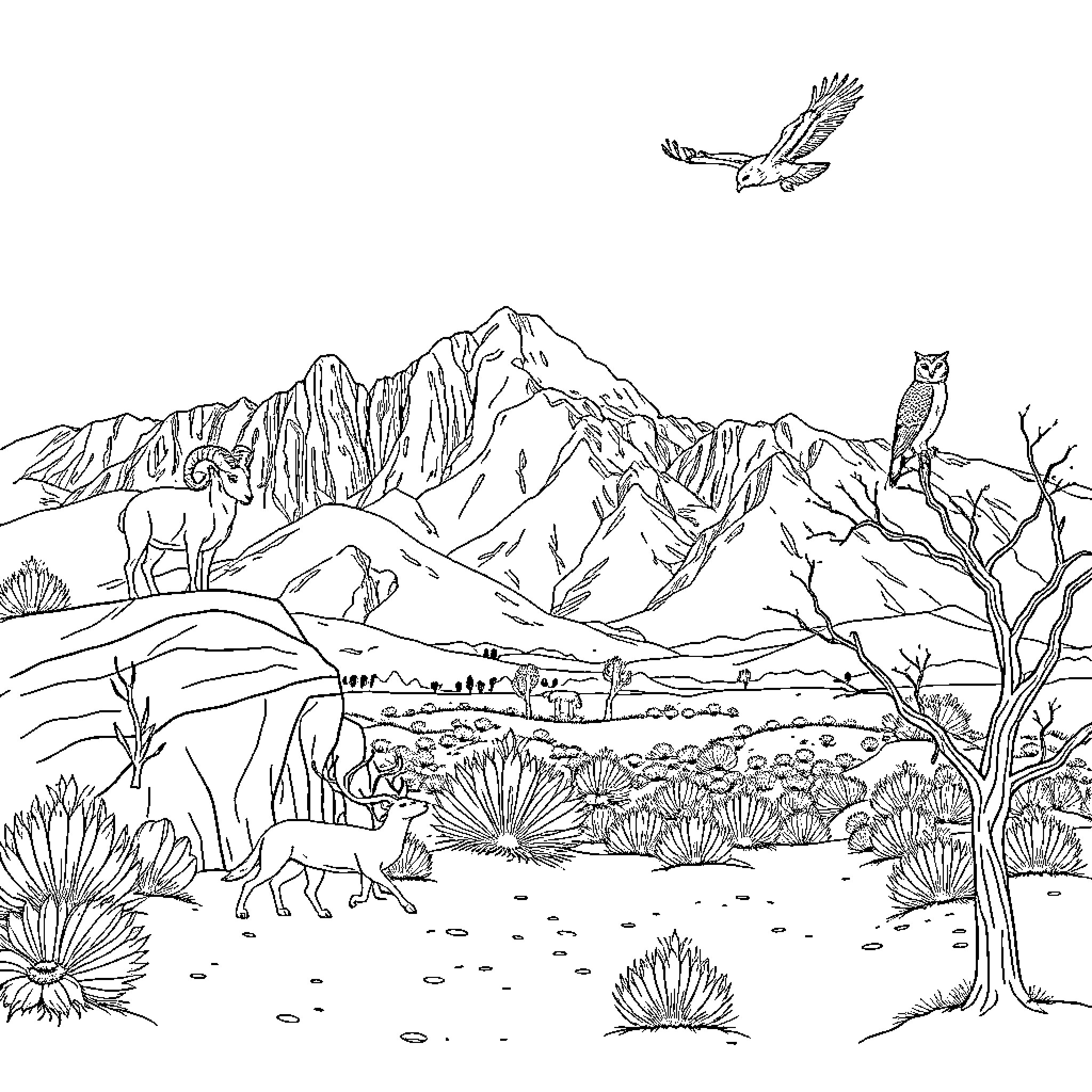 Best Rumy Coloring Pages (Free Printable PDF)