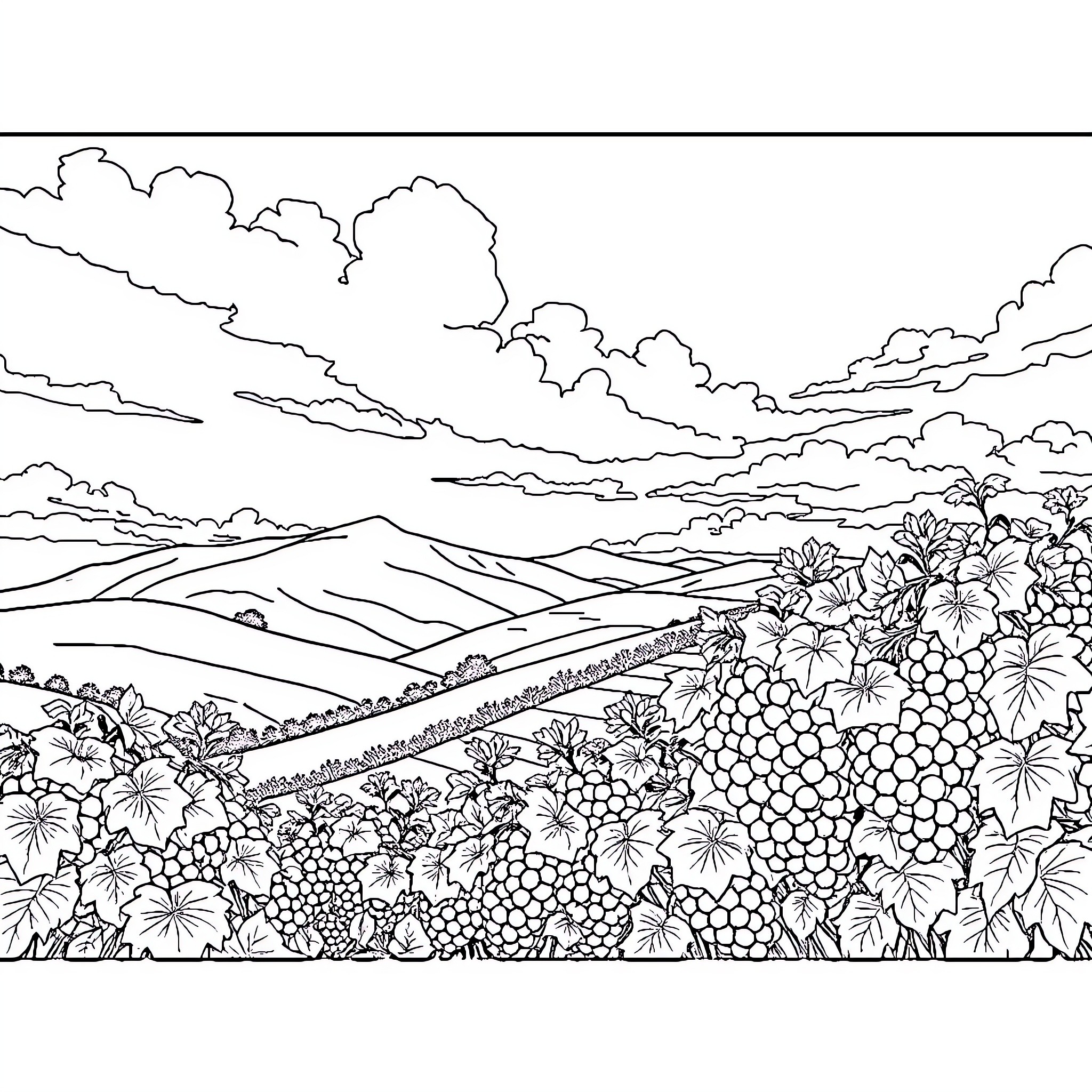 3 Best Vineyard Coloring Pages (Free Printable PDFs)