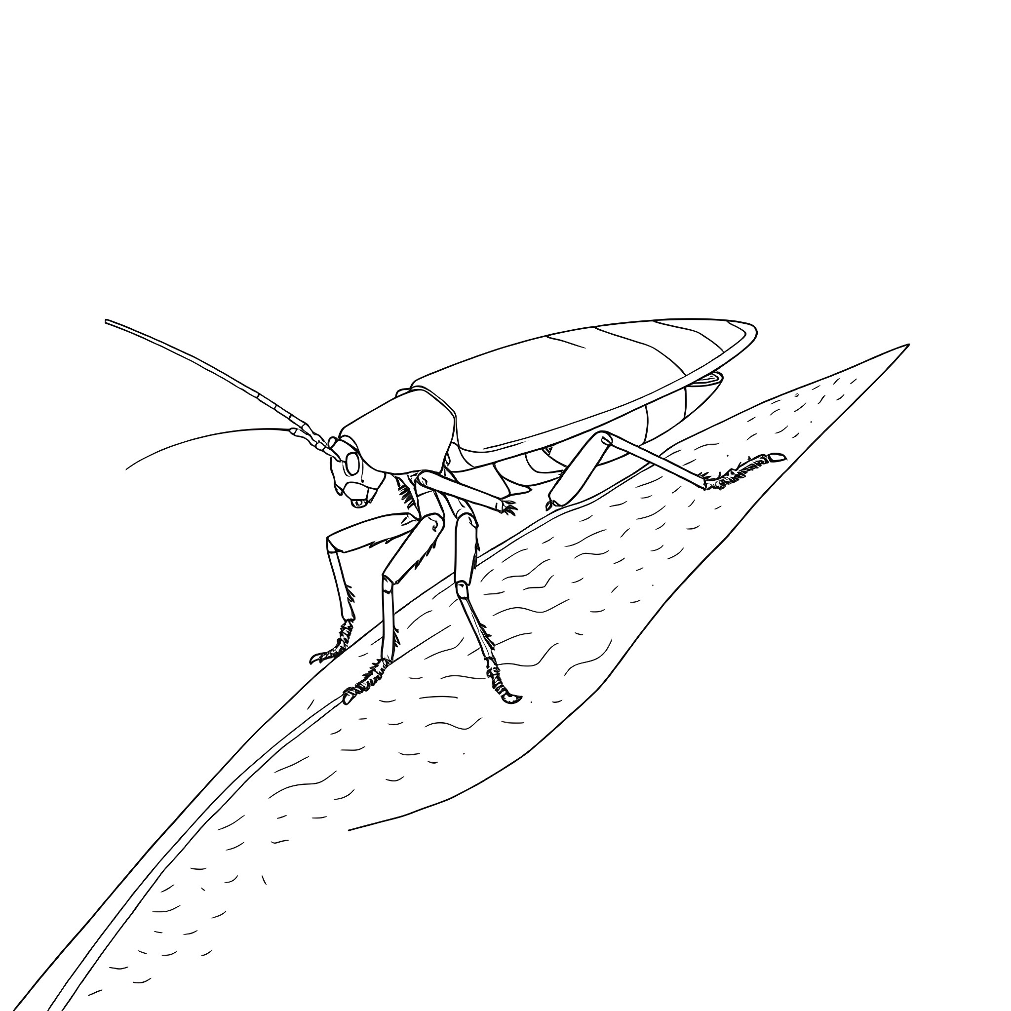 54 Best Cockroach Coloring Pages (Free Printable PDFs)
