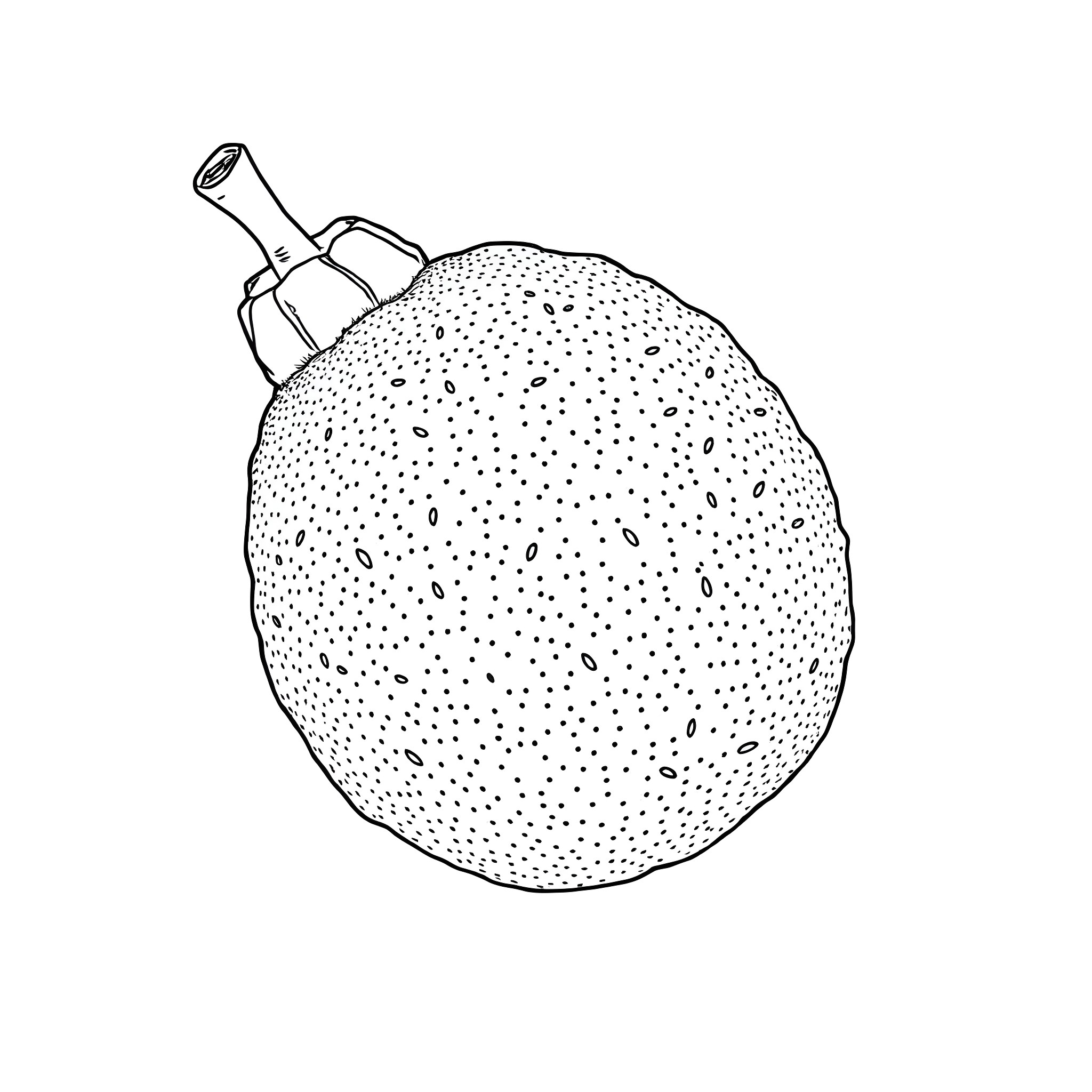 11 Best Jackfruit Coloring Pages (Free Printable PDFs)