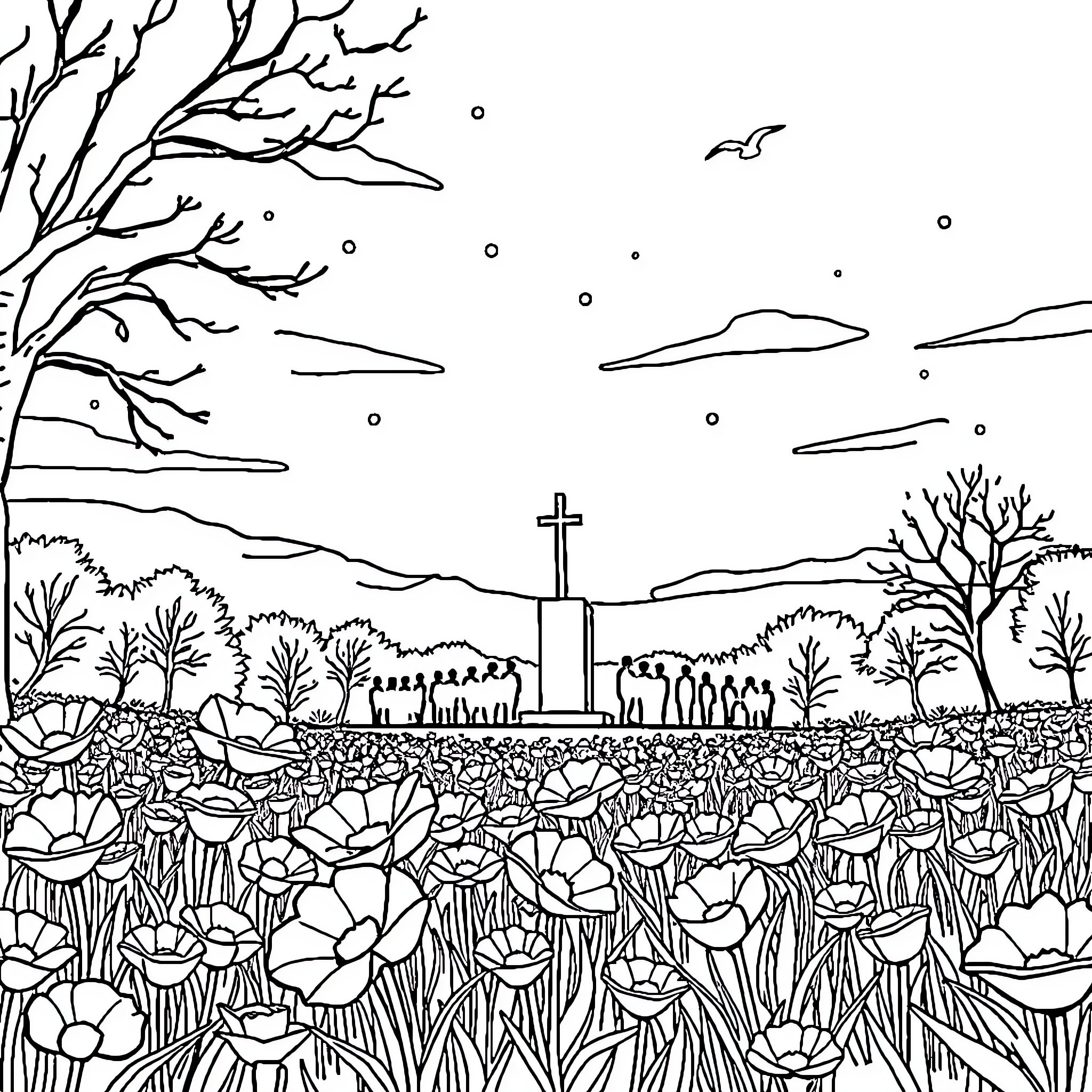 Best Anzac Day Coloring Pages (Free Printable PDF)