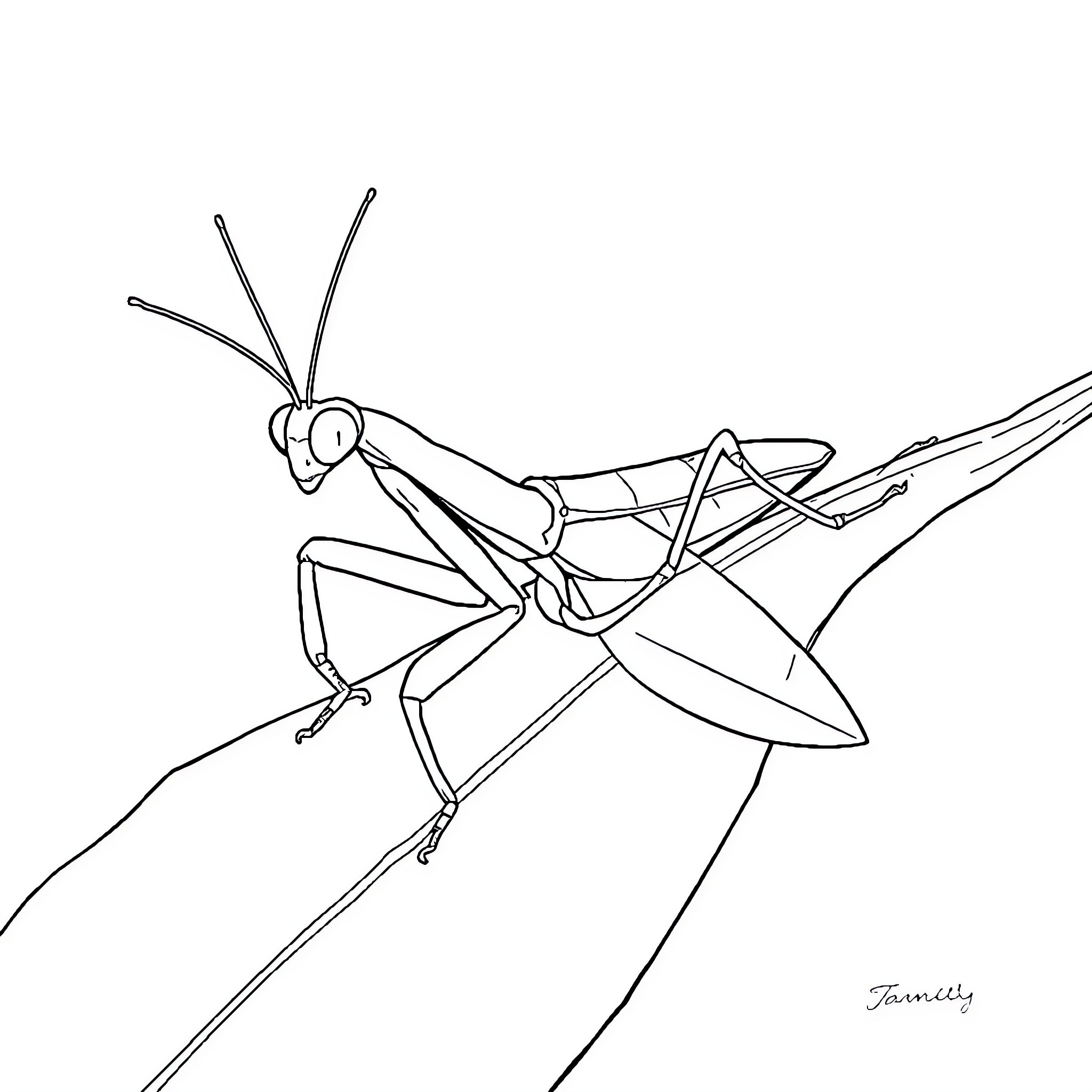 Best Pete Crow-Armstrong Coloring Pages (Free Printable PDF)