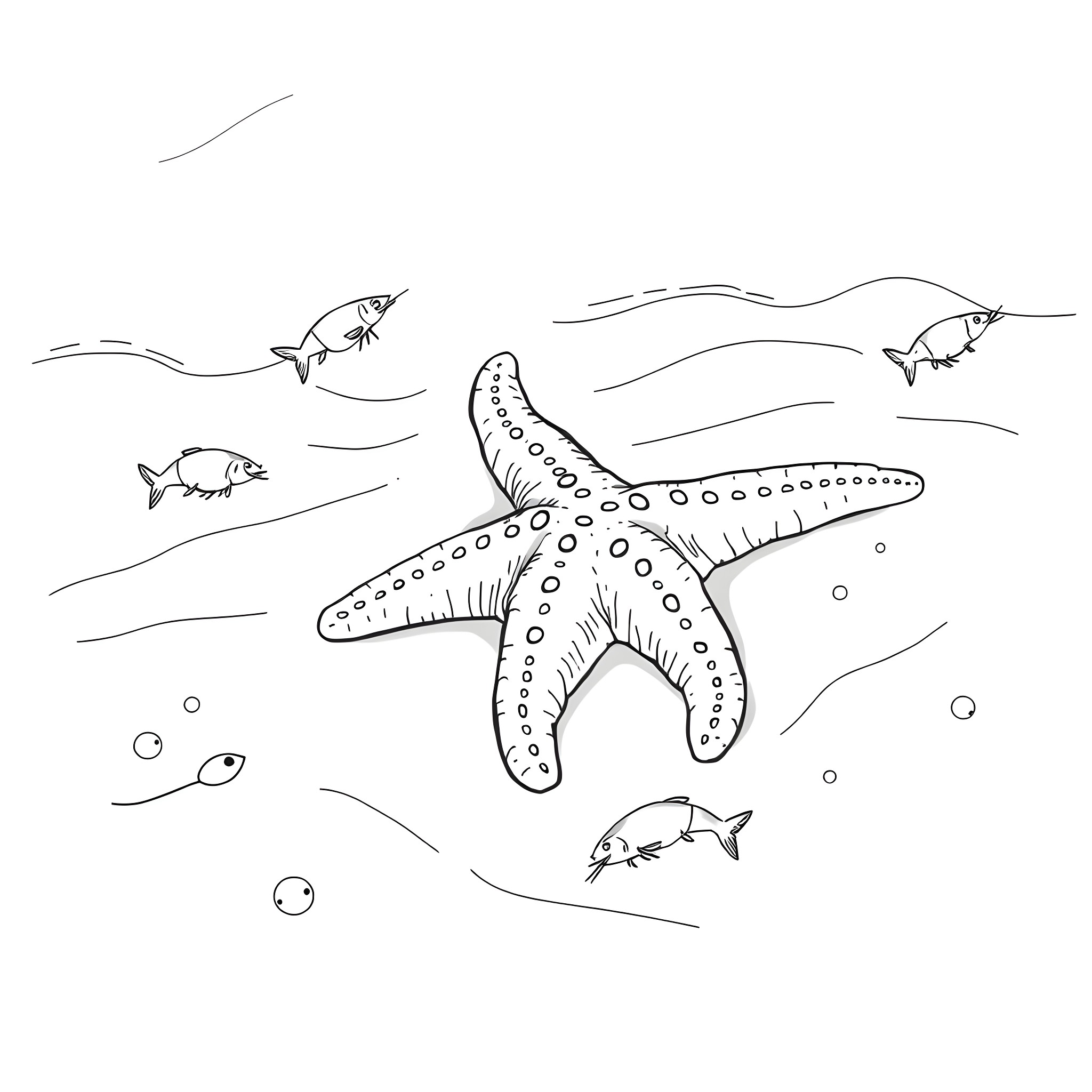 Best Starfish Coloring Pages (Free Printable PDF)