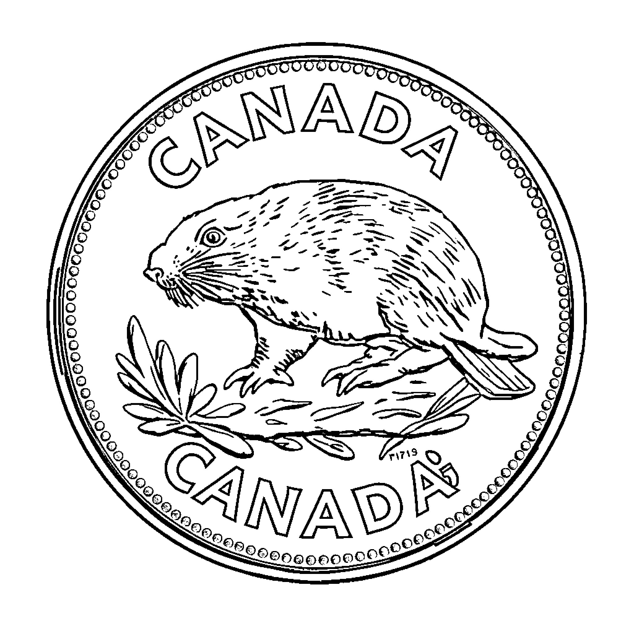 Best Nickel Coloring Pages (Free Printable PDF)