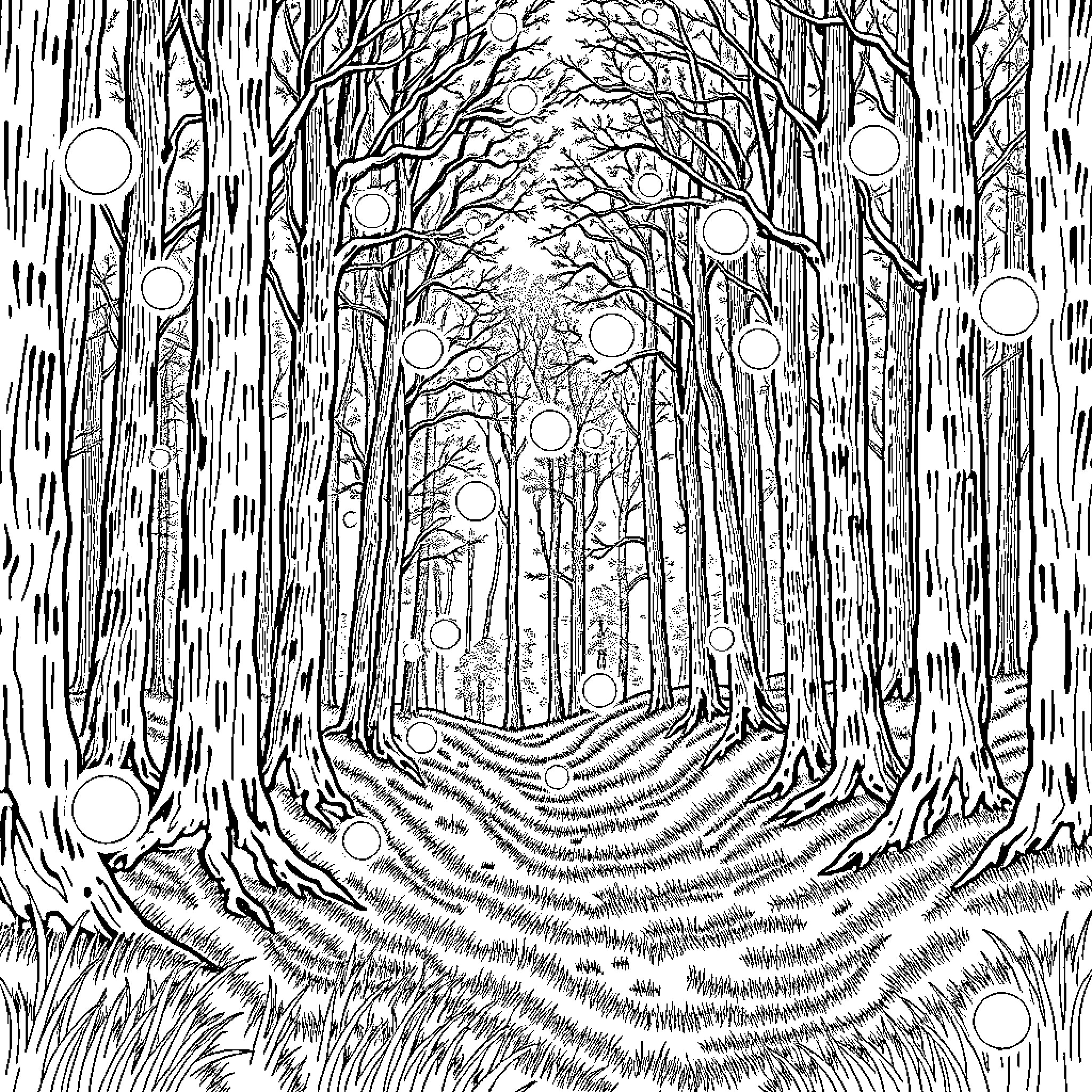 Best Davey Crockett Coloring Pages (Free Printable PDF)