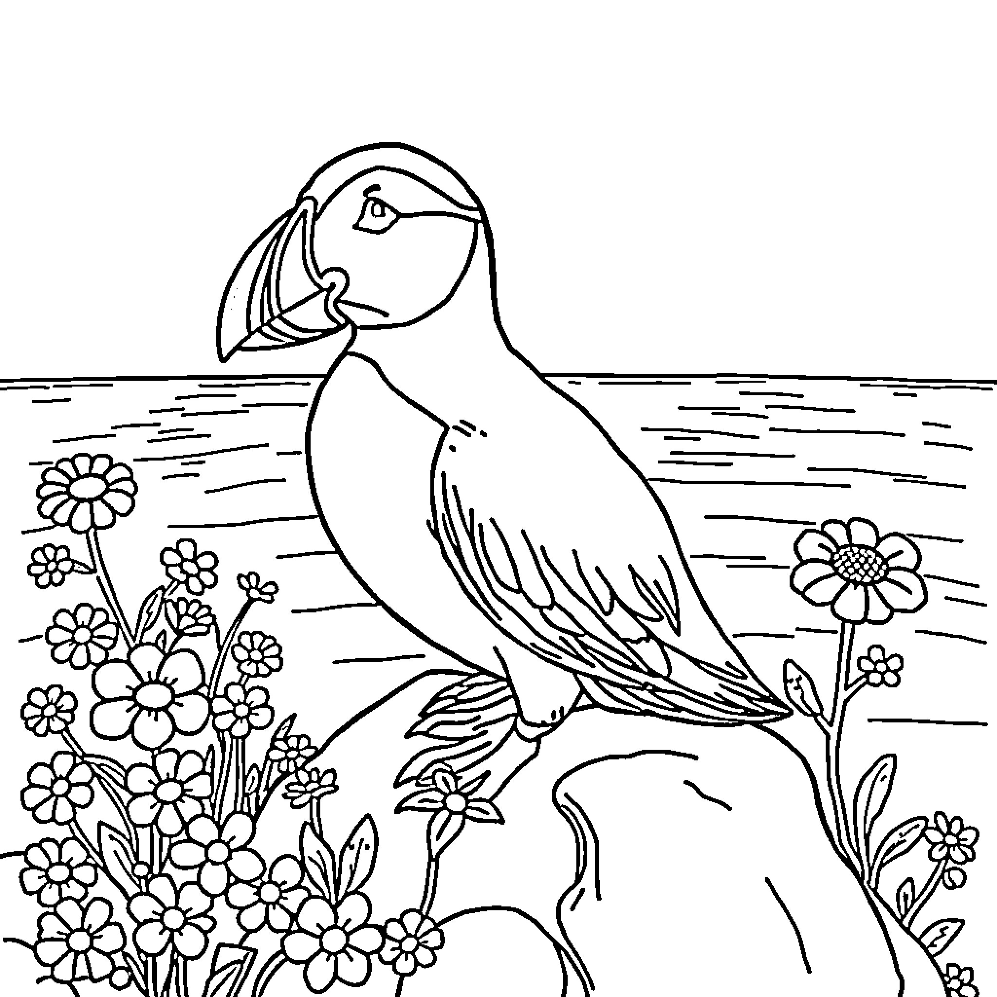Best Puffin Coloring Pages (Free Printable PDF)