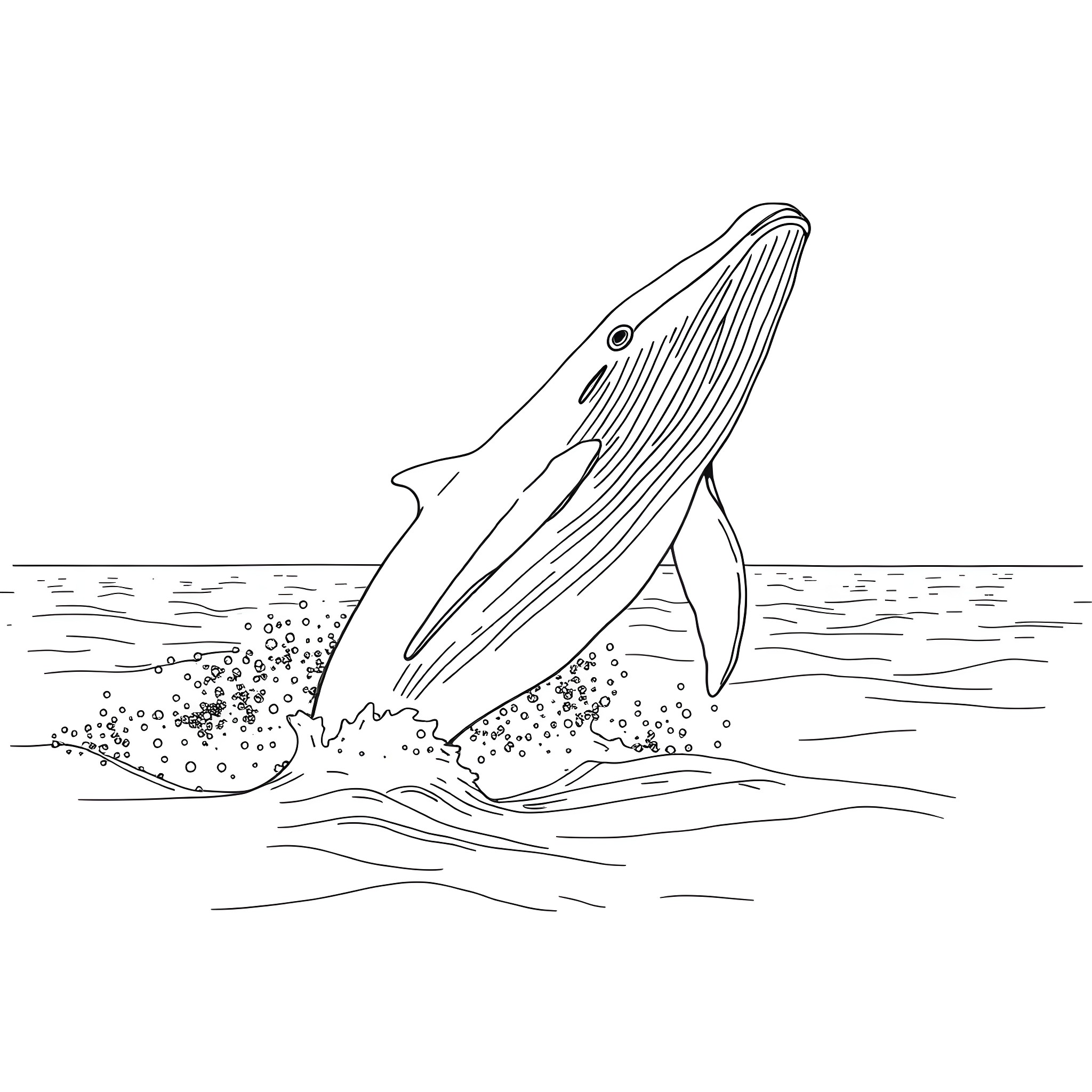 32 Best Whale Coloring Pages (Free Printable PDFs)