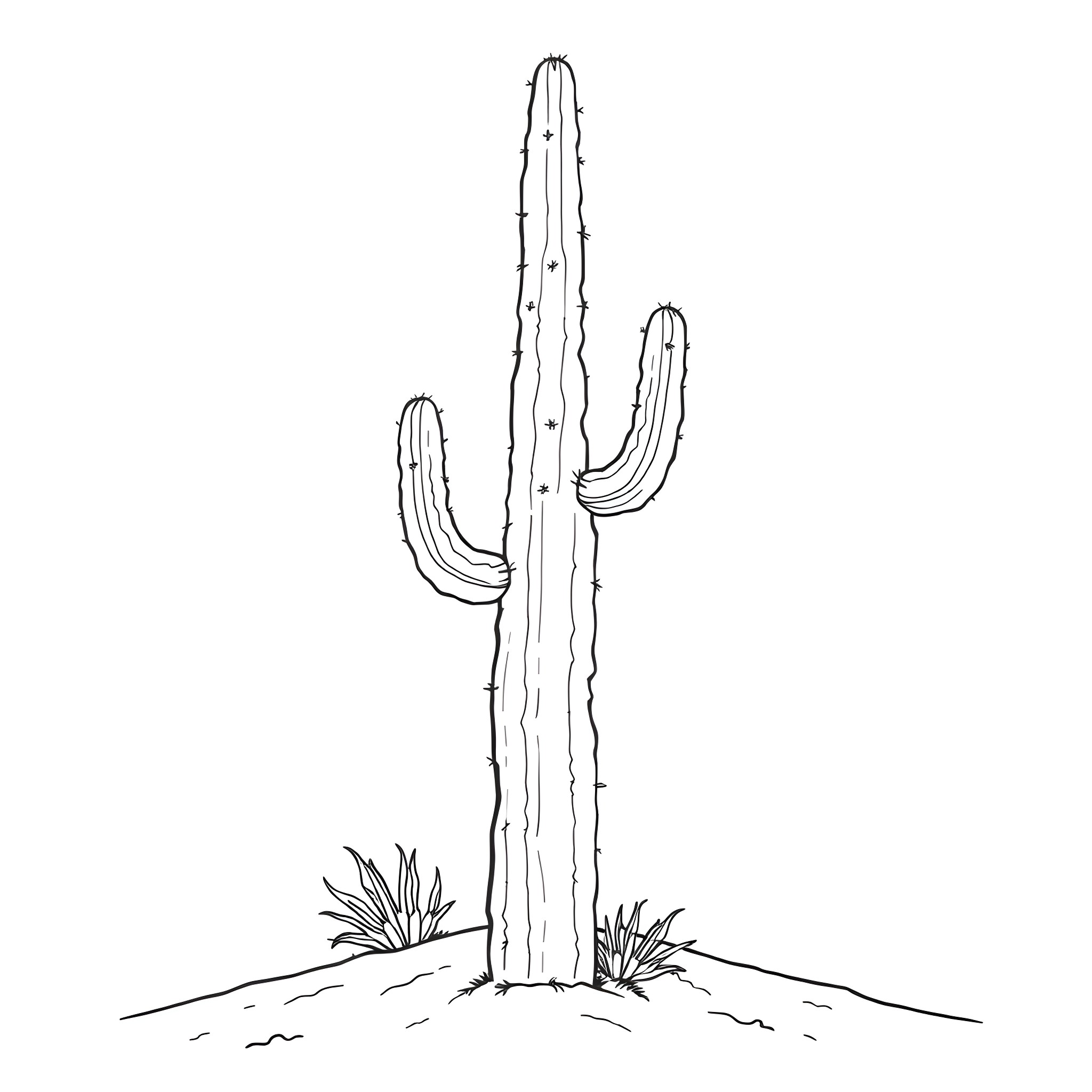 Best Cactus Coloring Pages (Free Printable PDF)
