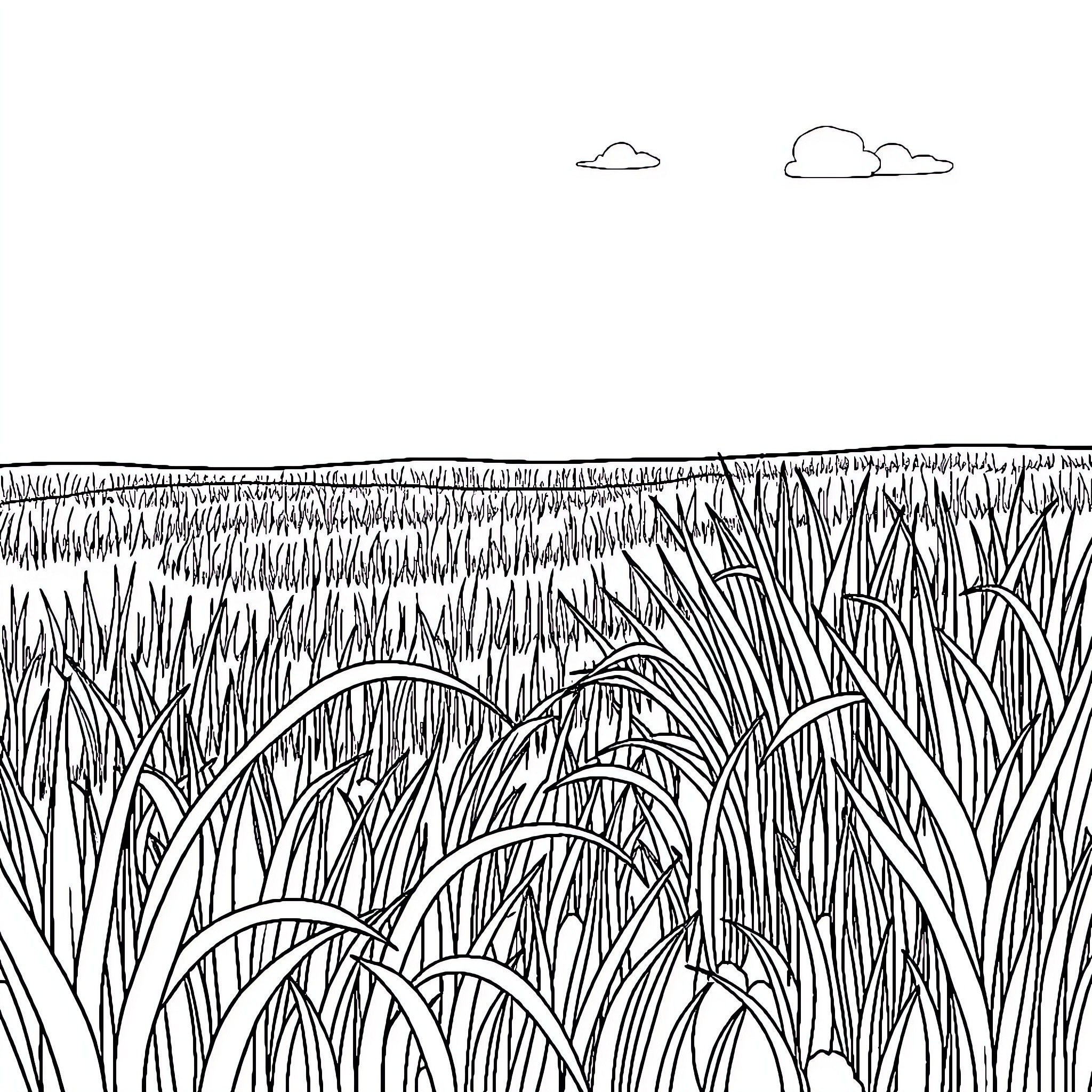 All Coloring Page Collection (With Free Printable PDFs)