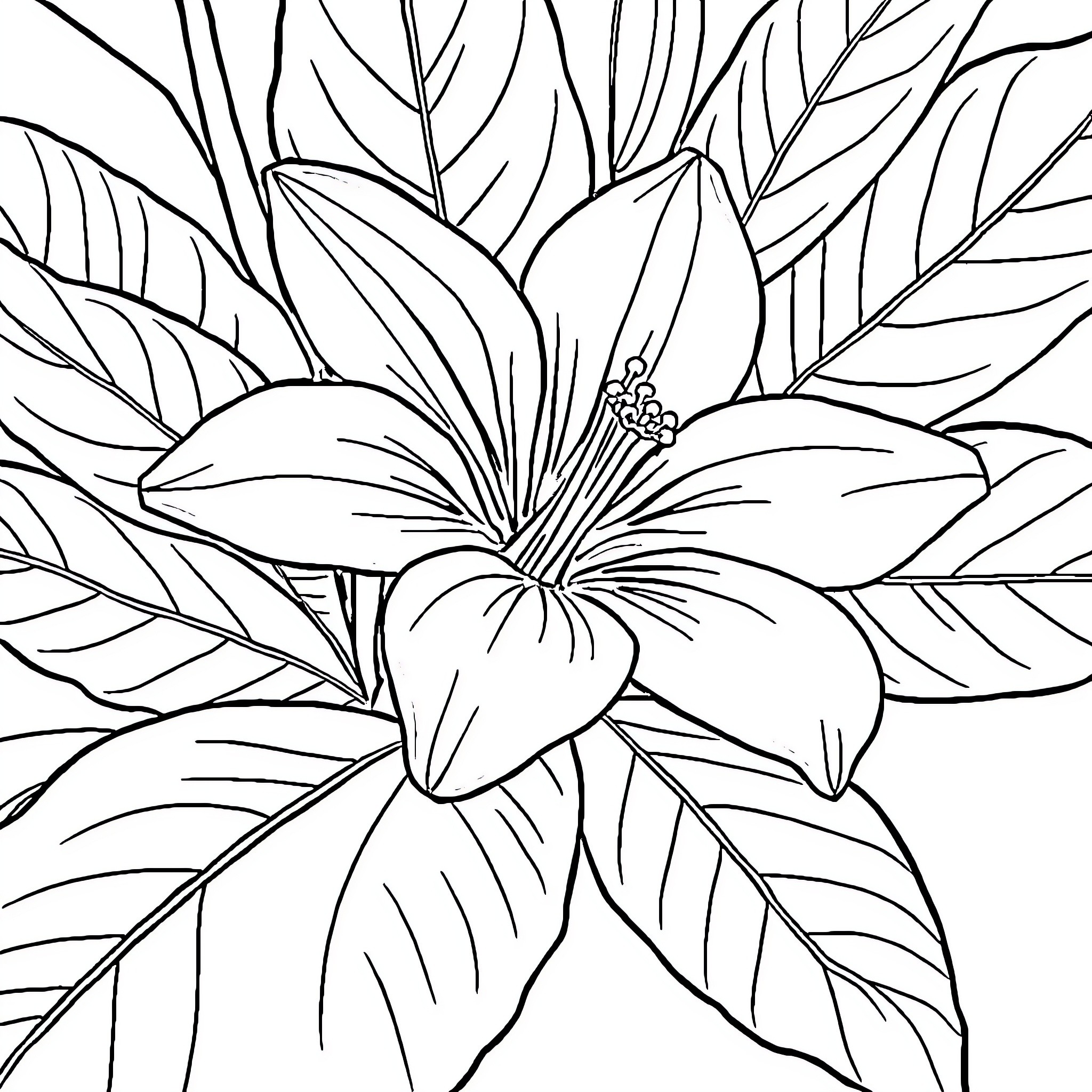 Best Valerina Coloring Pages (Free Printable PDF)