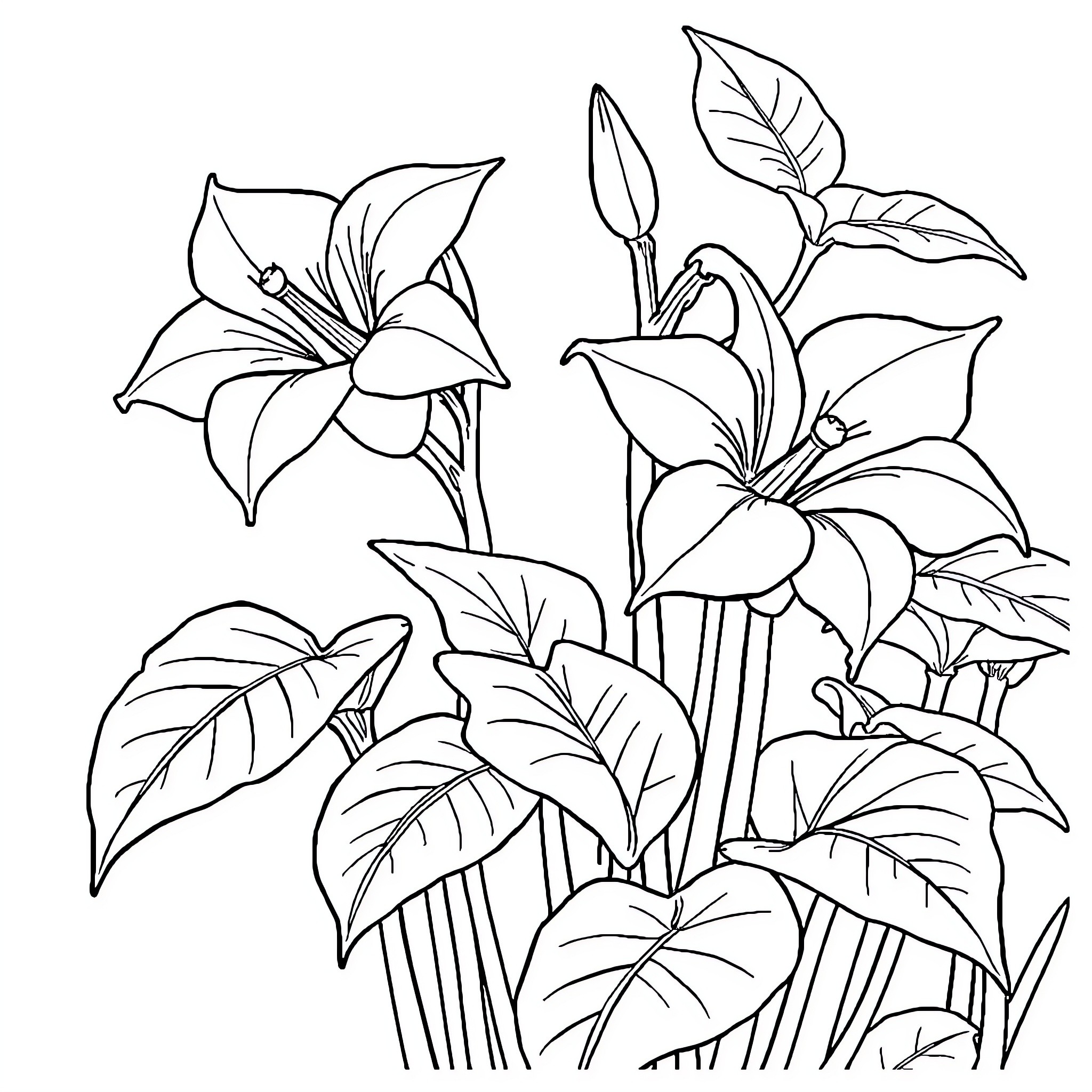 Best Rock and Roll Coloring Pages (Free Printable PDF)