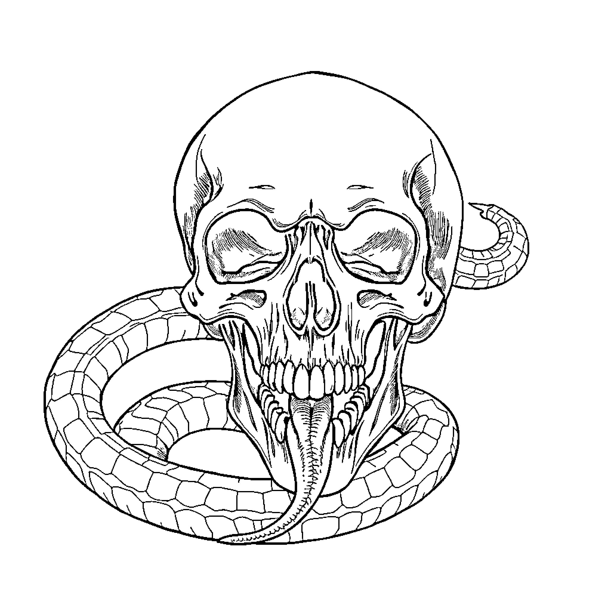 Best Skull Coloring Pages (Free Printable PDF)