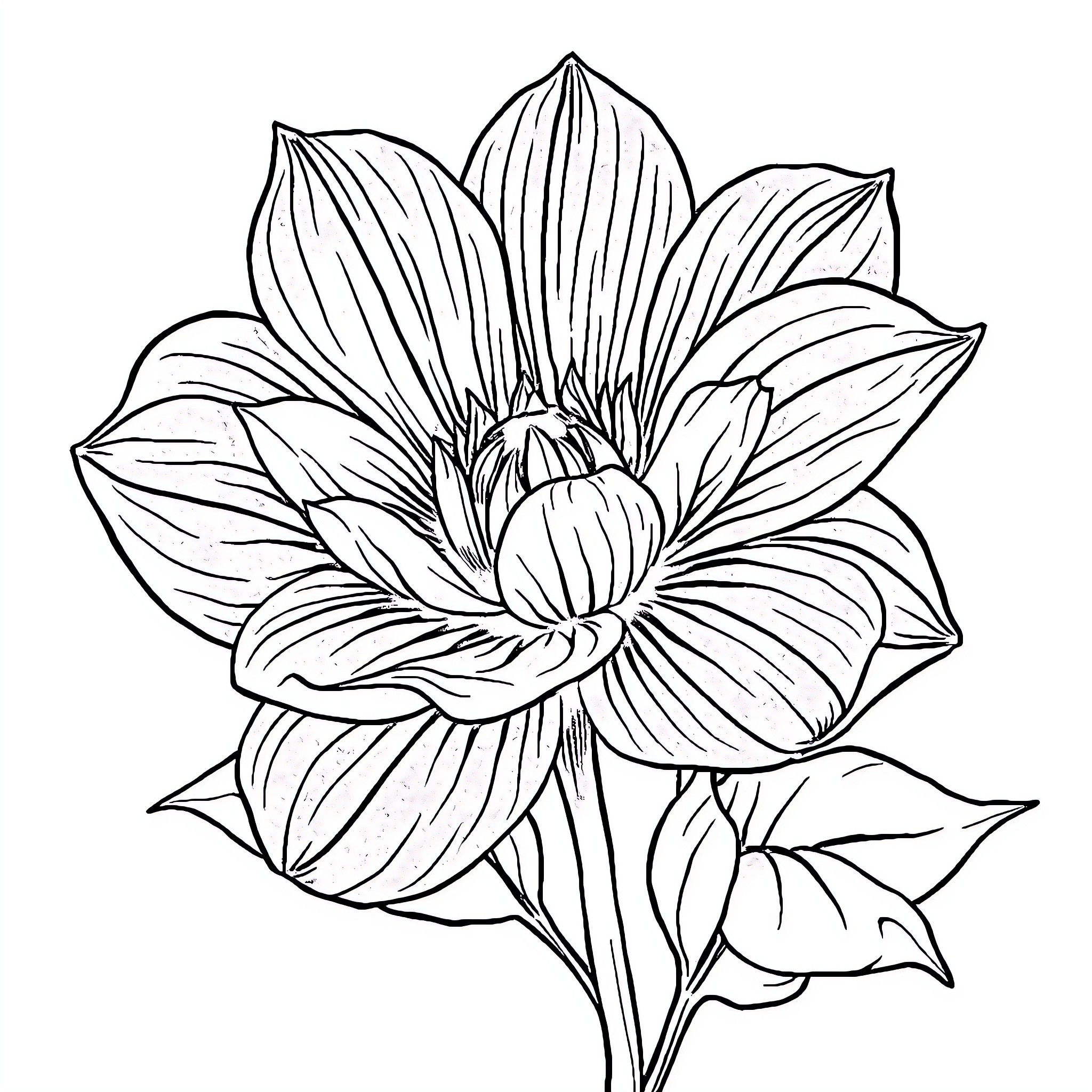 Best Scanner Coloring Pages (Free Printable PDF)