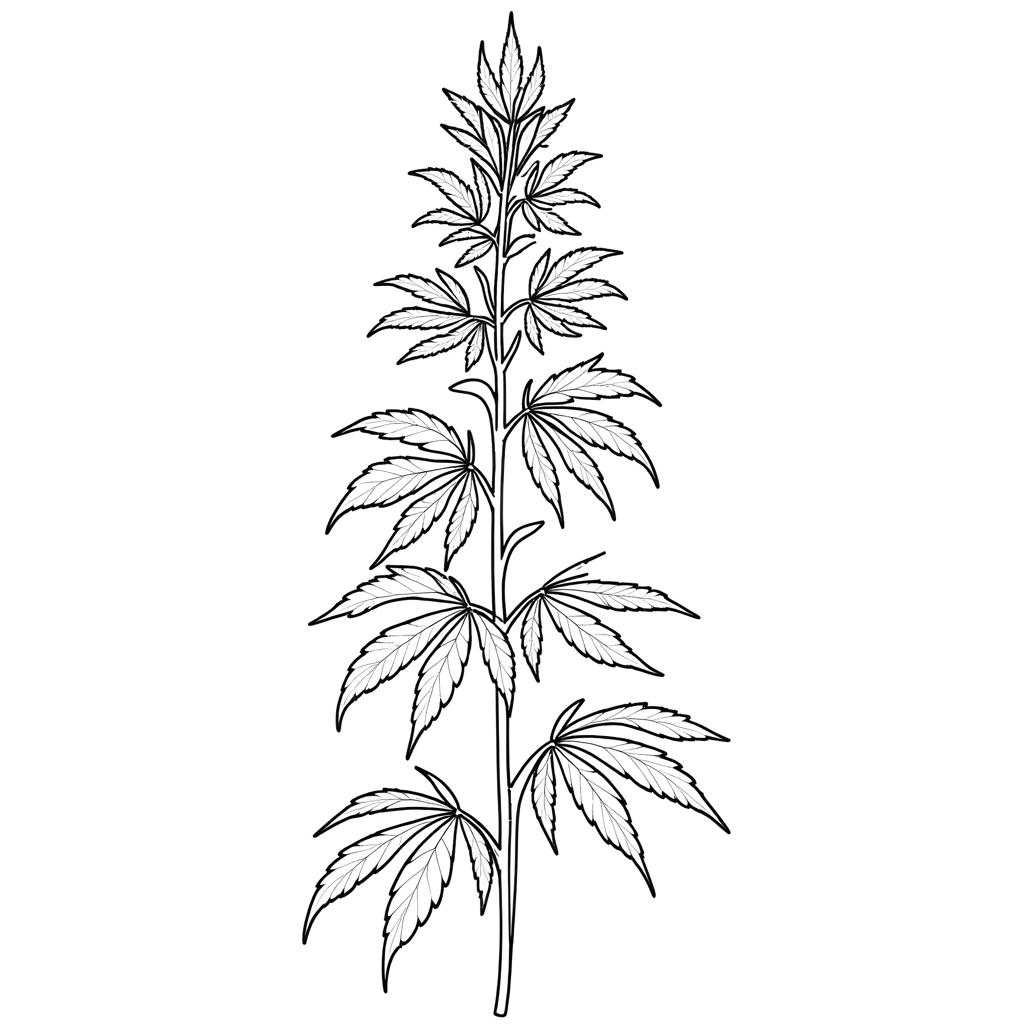 Best Cannabis Coloring Pages (Free Printable PDF)