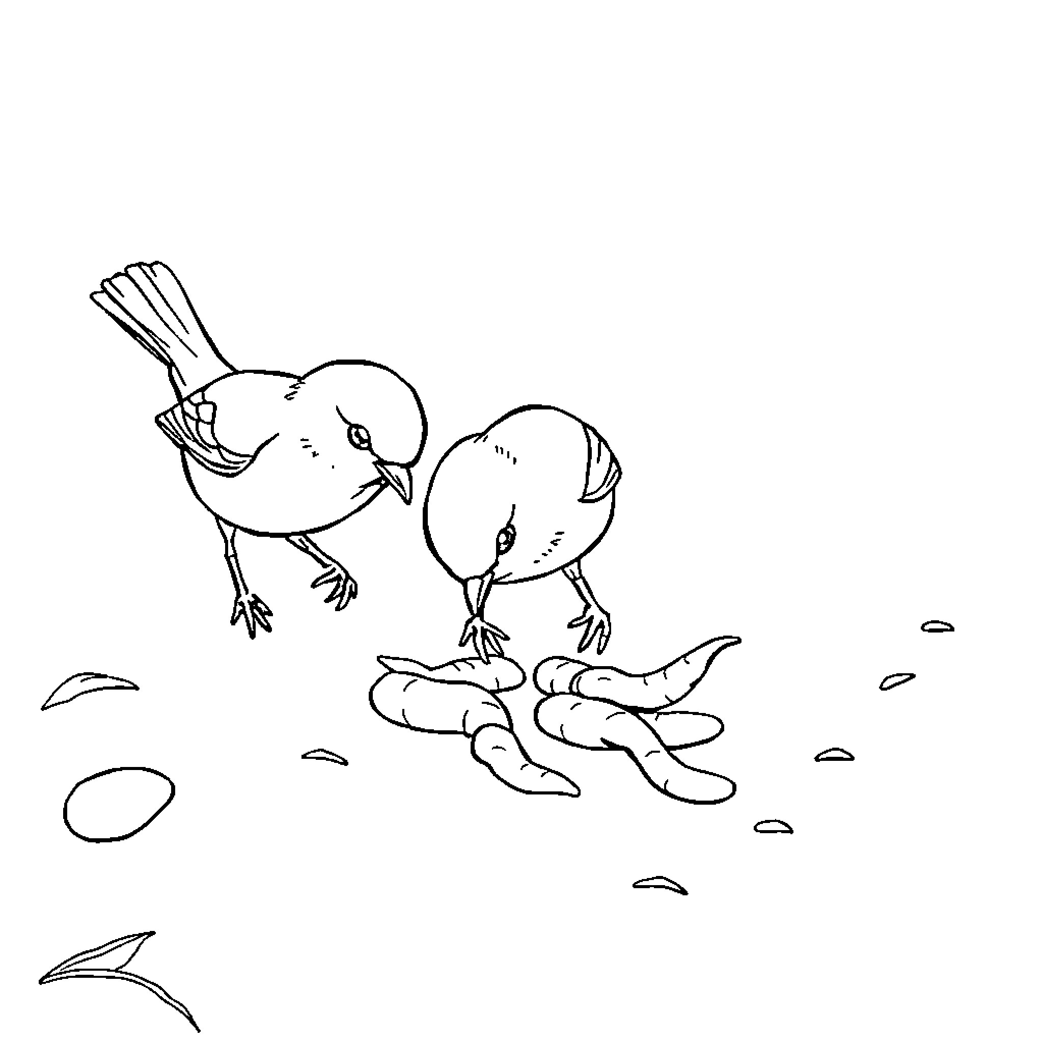Best Bird Coloring Pages (Free Printable PDF)