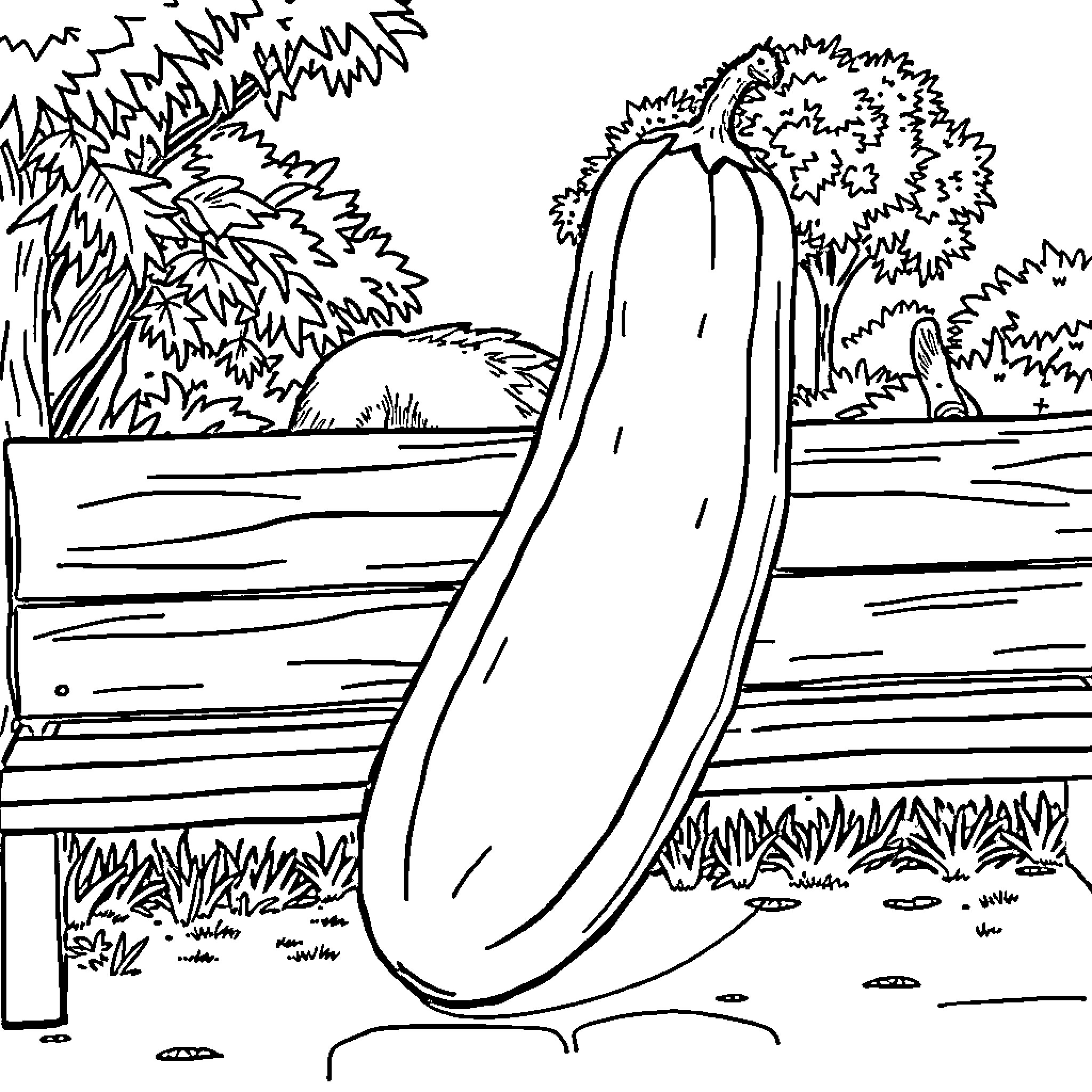 Best Pickle Coloring Pages (Free Printable PDF)