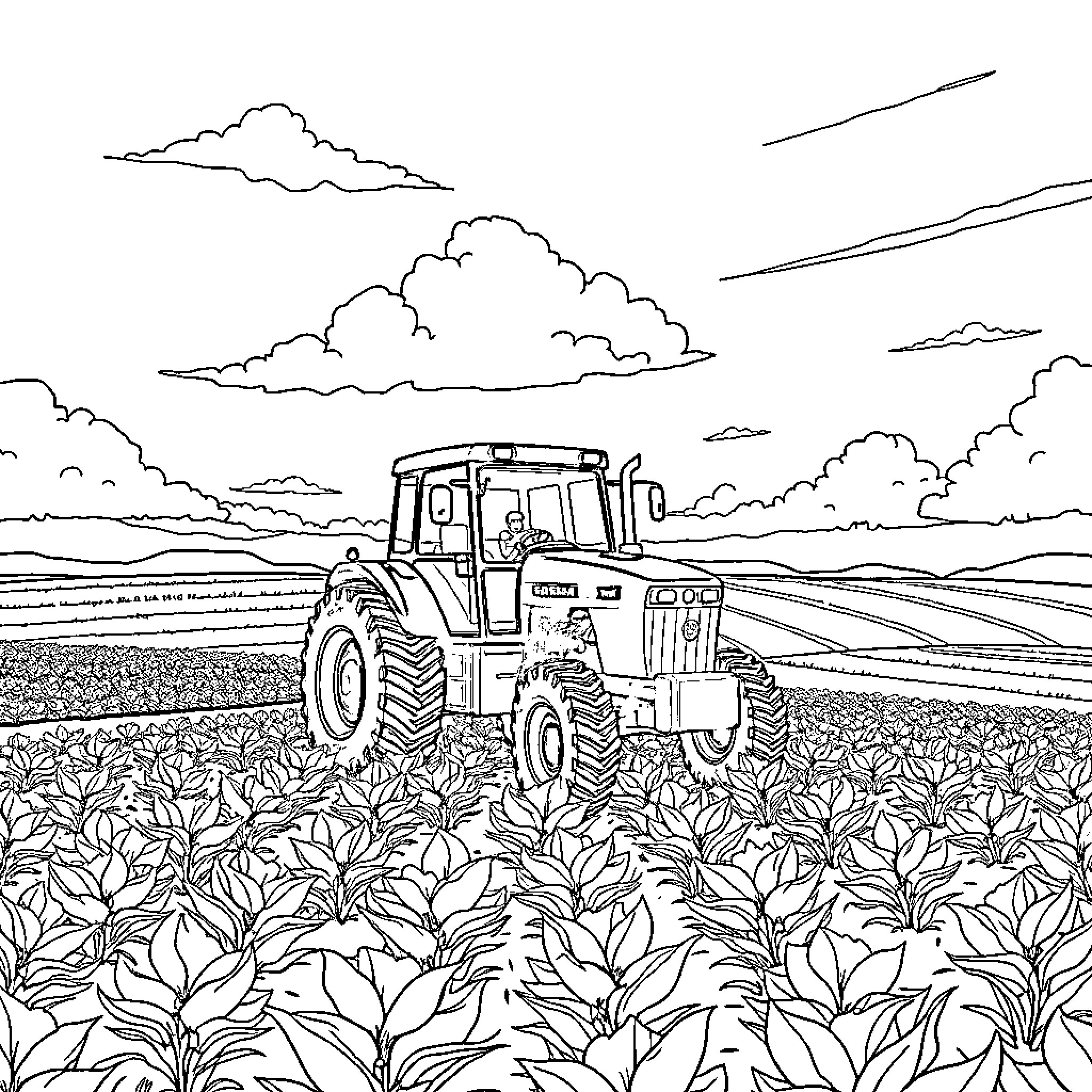 Best Farm Coloring Pages (Free Printable PDF)