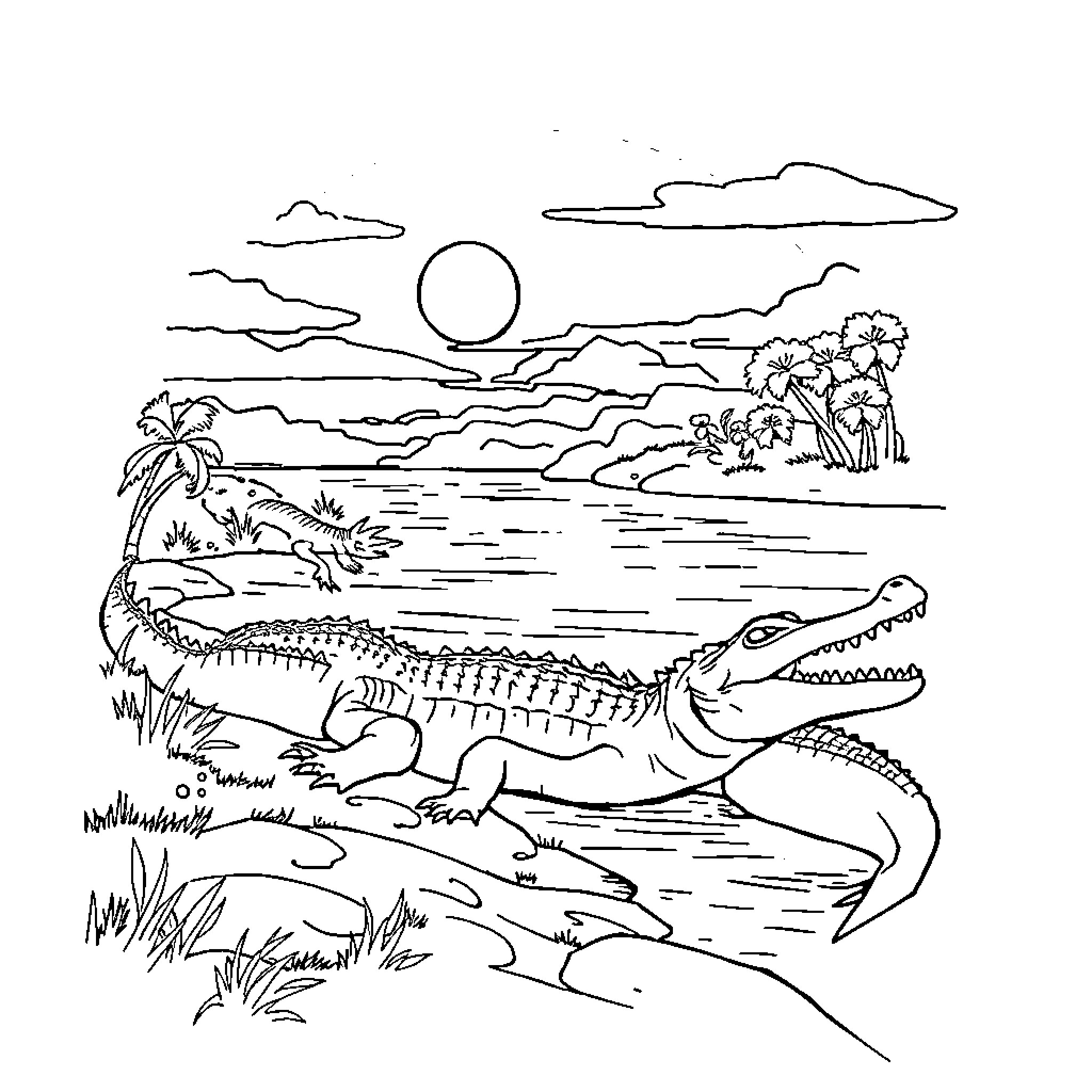 Best Crocodile Coloring Pages (Free Printable PDF)