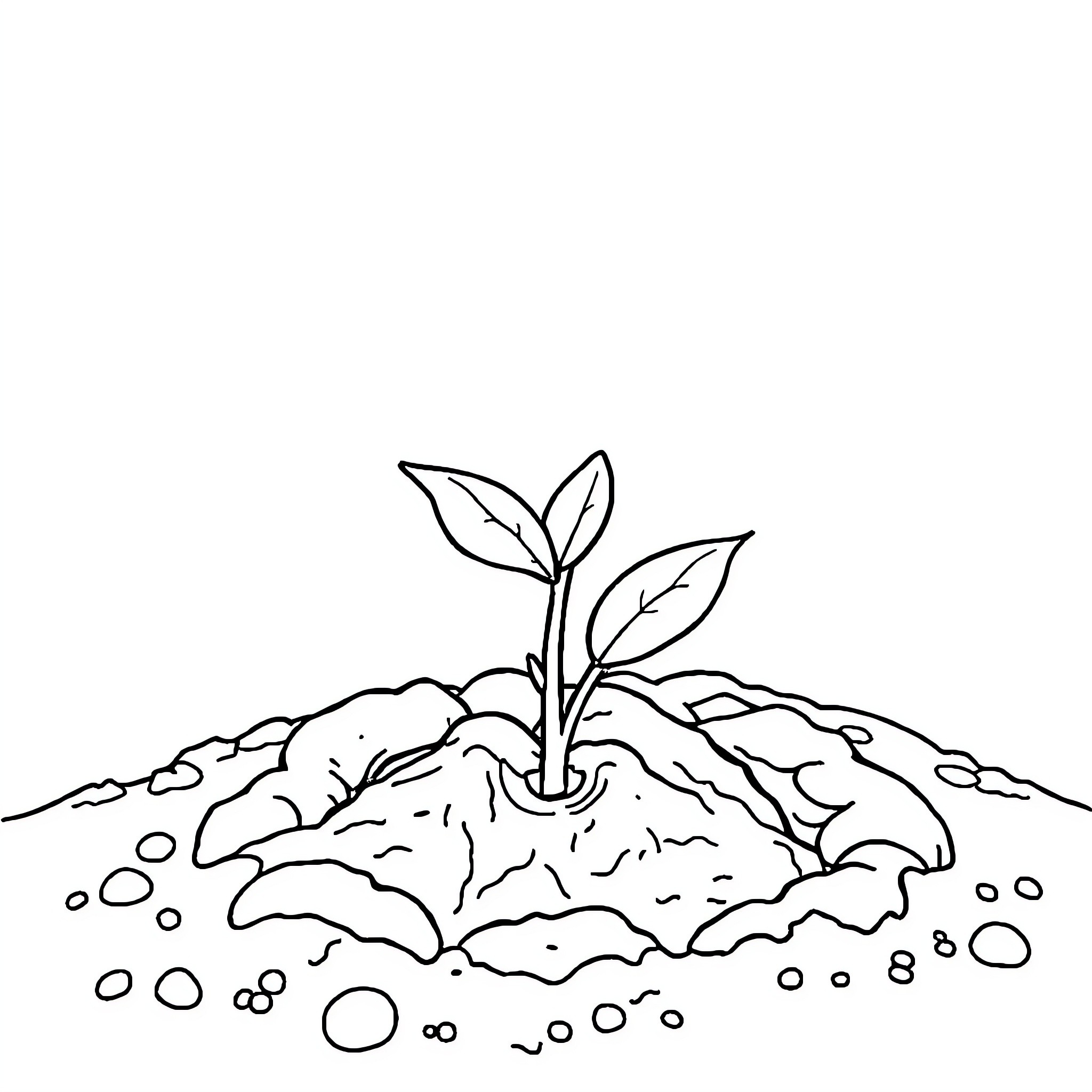 Best Sprout Coloring Pages (Free Printable PDF)