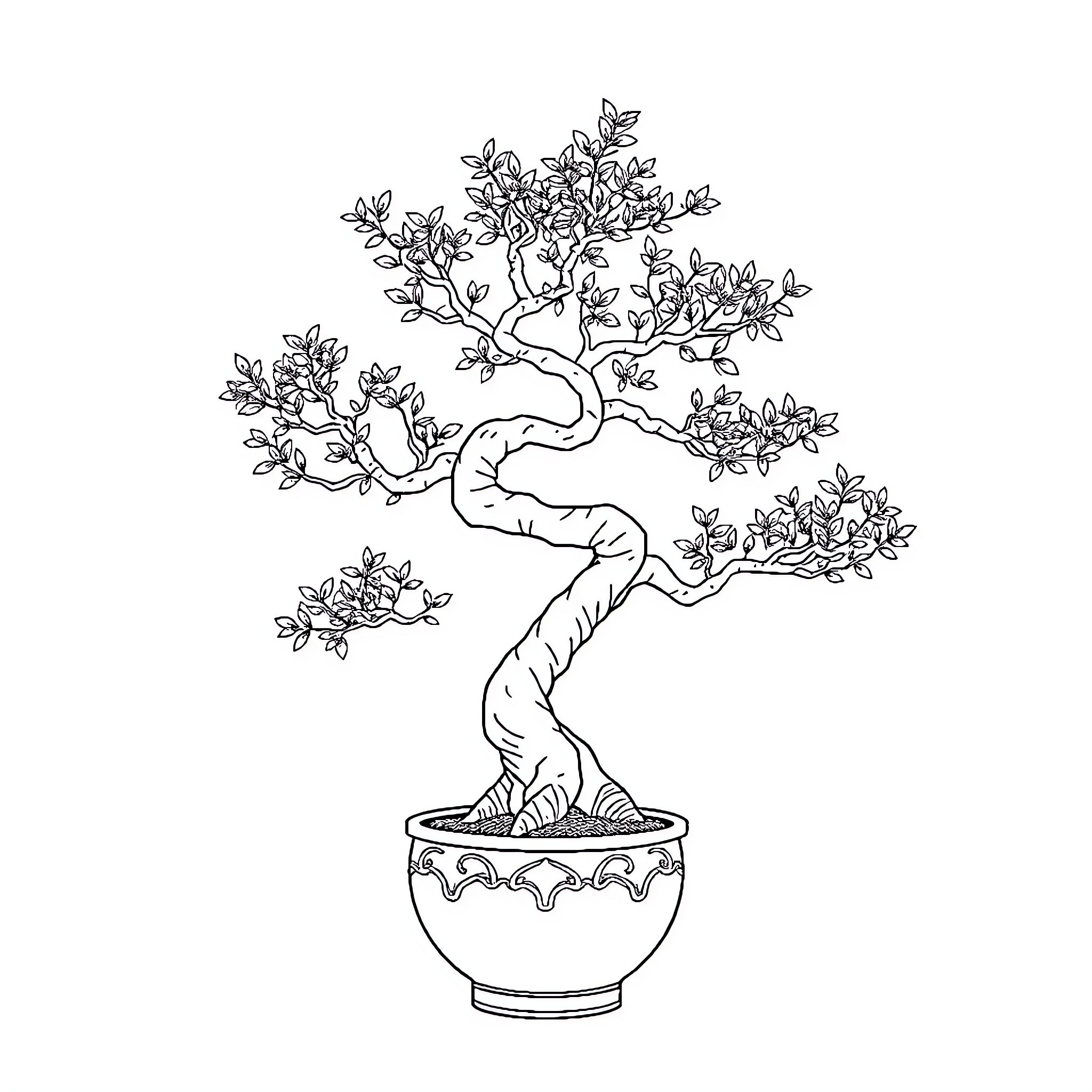 Best Bonsai Coloring Pages (Free Printable PDF)