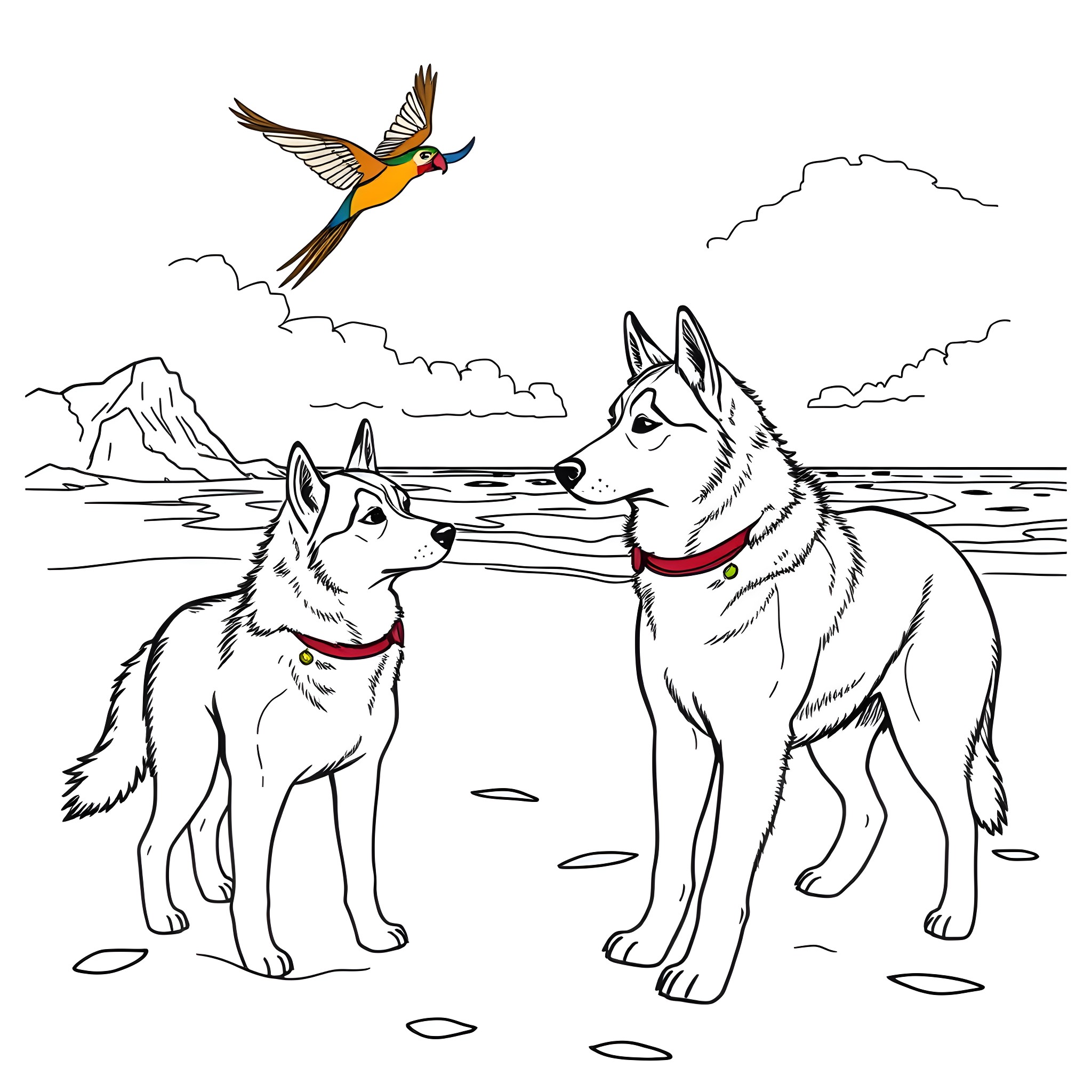 Best Husky Coloring Pages (Free Printable PDF)