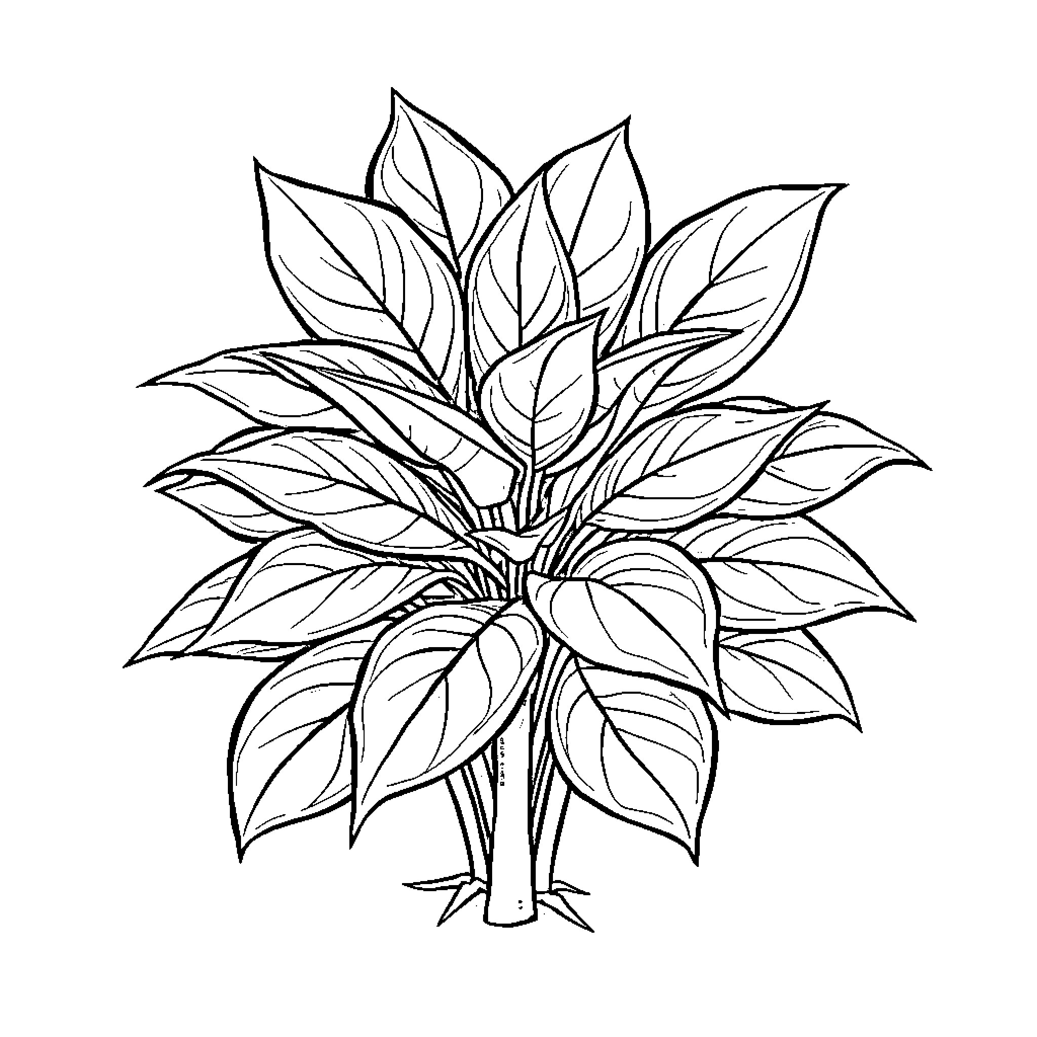 Best Gerberas Coloring Pages (Free Printable PDF)