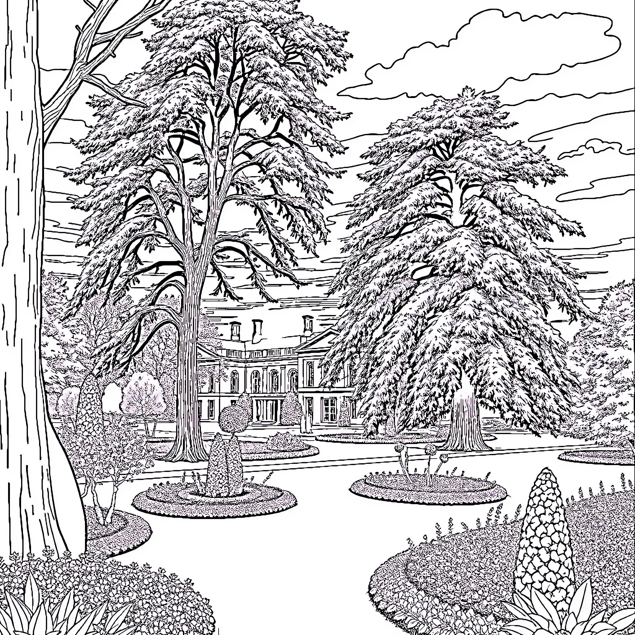 Best Topographic Forms Coloring Pages (Free Printable PDF)