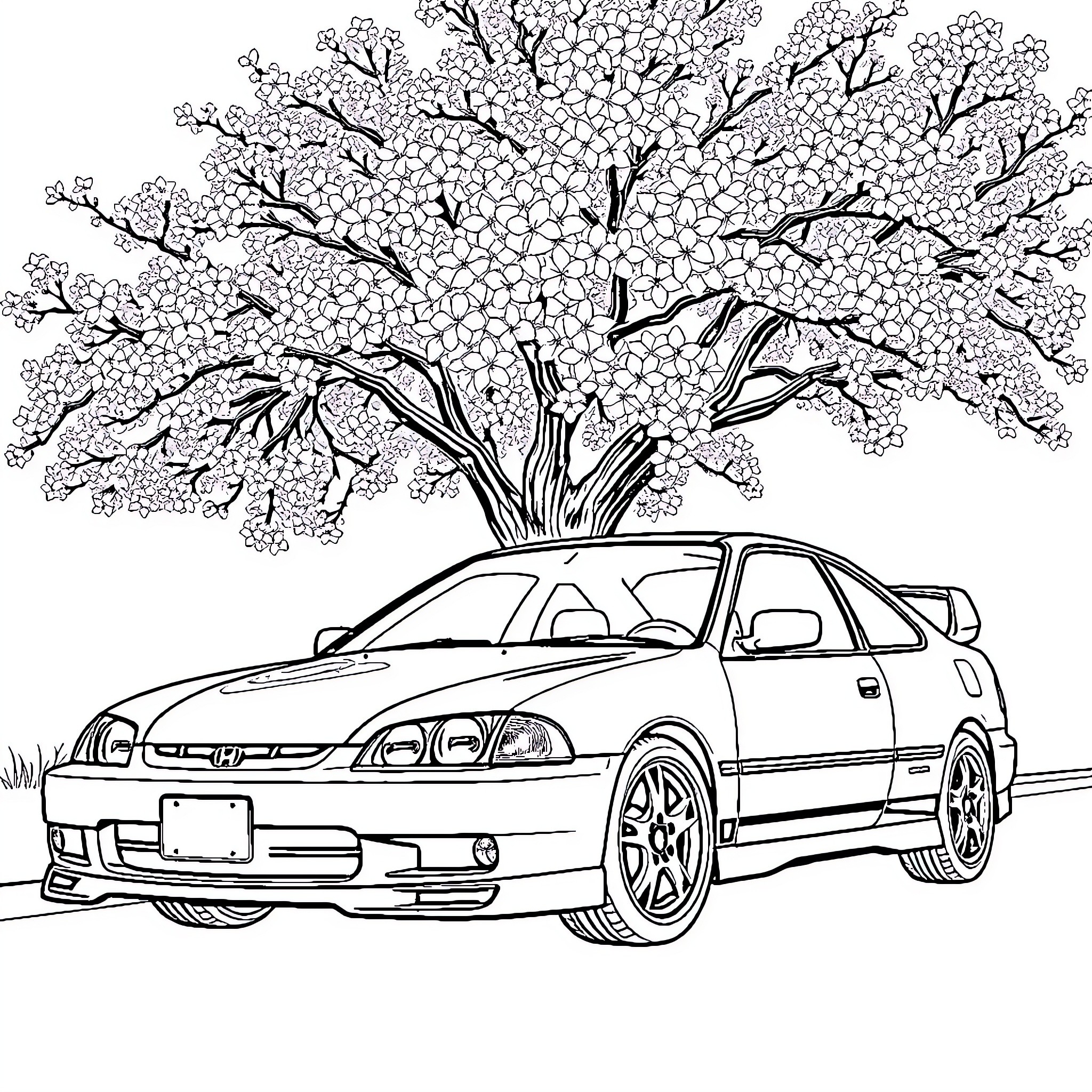 Best Honda Coloring Pages (Free Printable PDF)