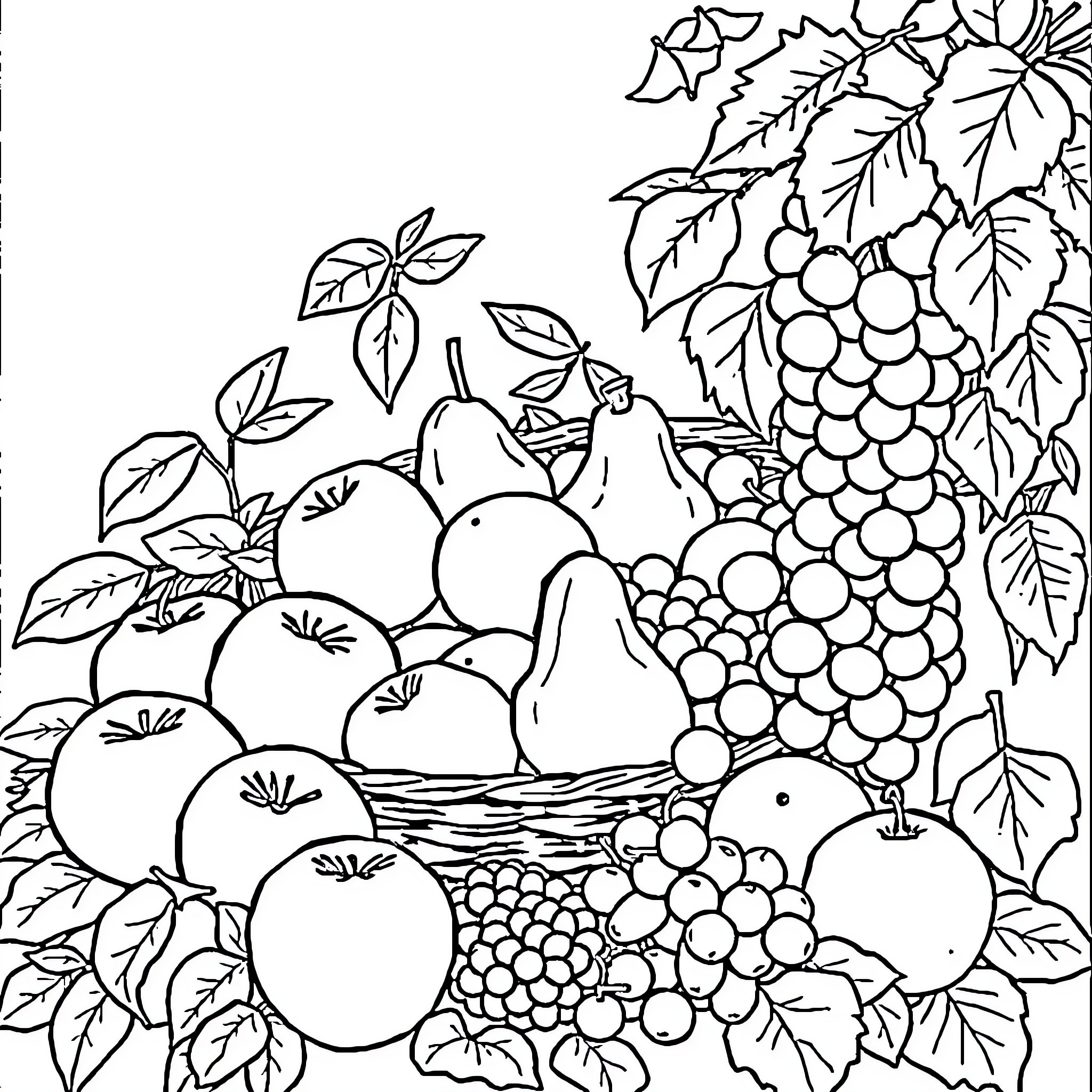 Best Fruit Coloring Pages (Free Printable PDF)
