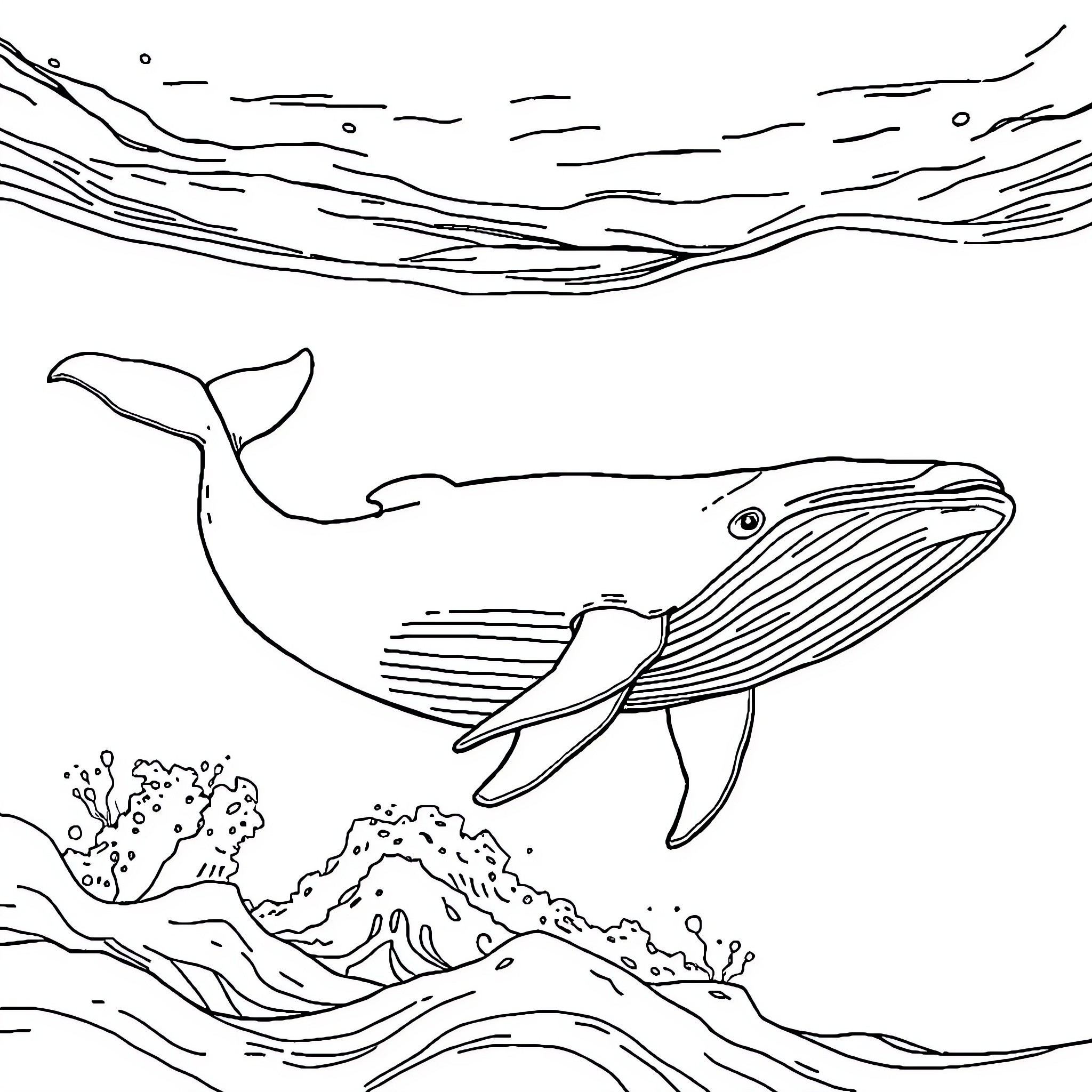 159 Best Whale Coloring Pages (Free Printable PDFs)