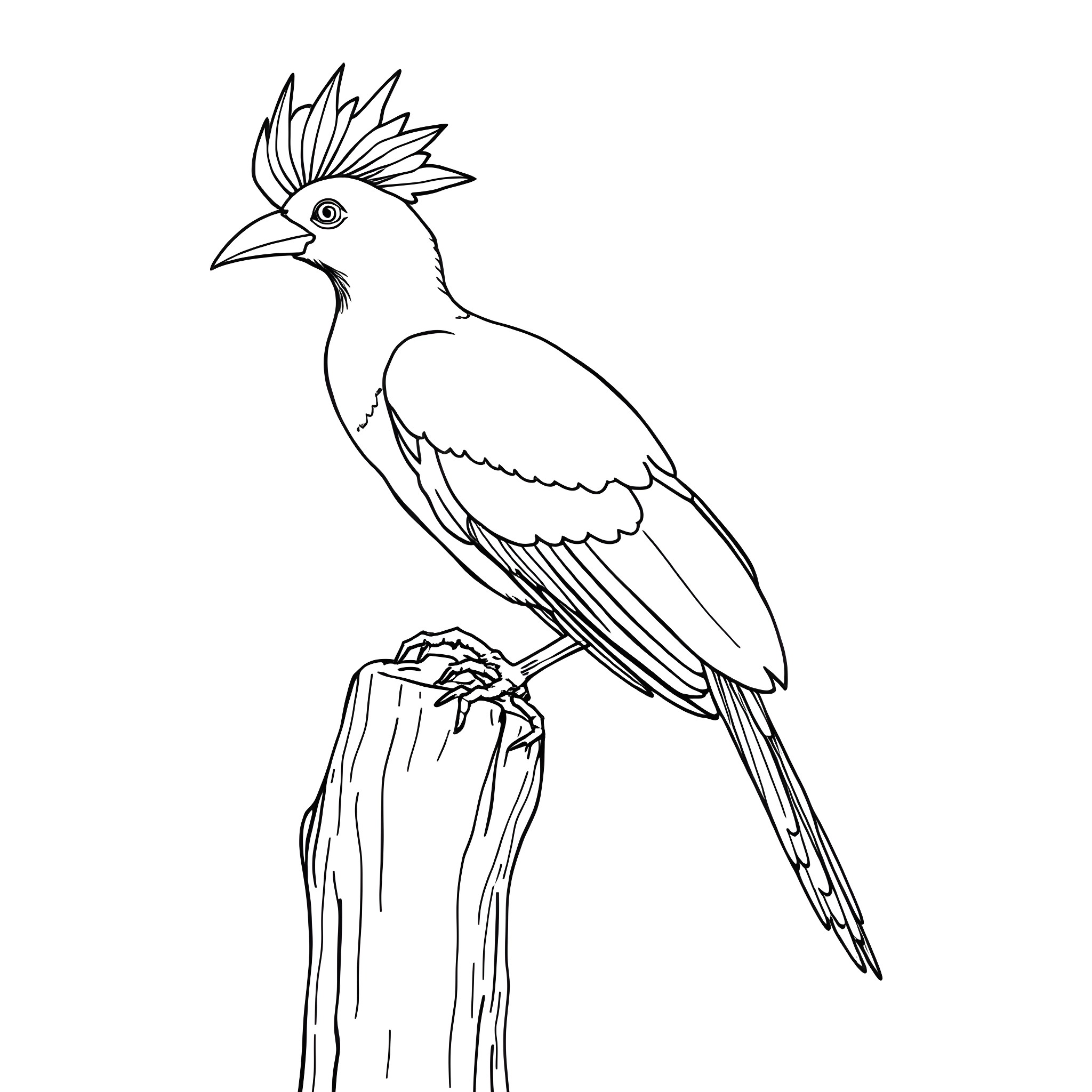 4 Best Natalie Nunn Coloring Pages (Free Printable PDFs)