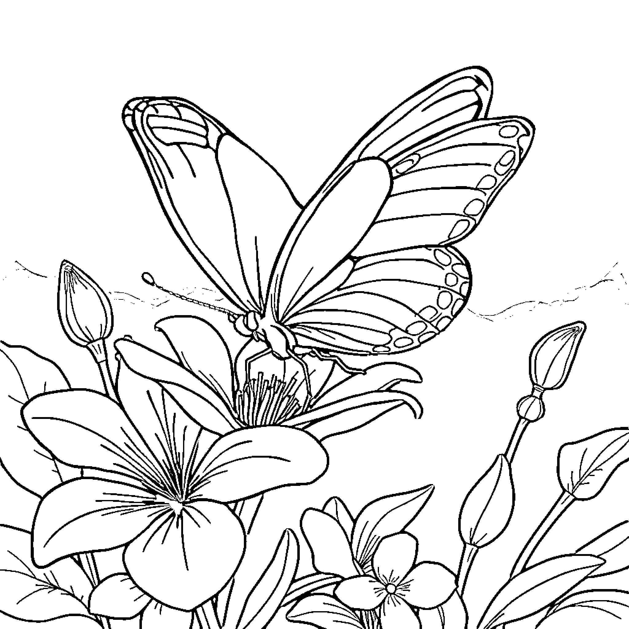 Best Mariposa Coloring Pages (Free Printable PDF)