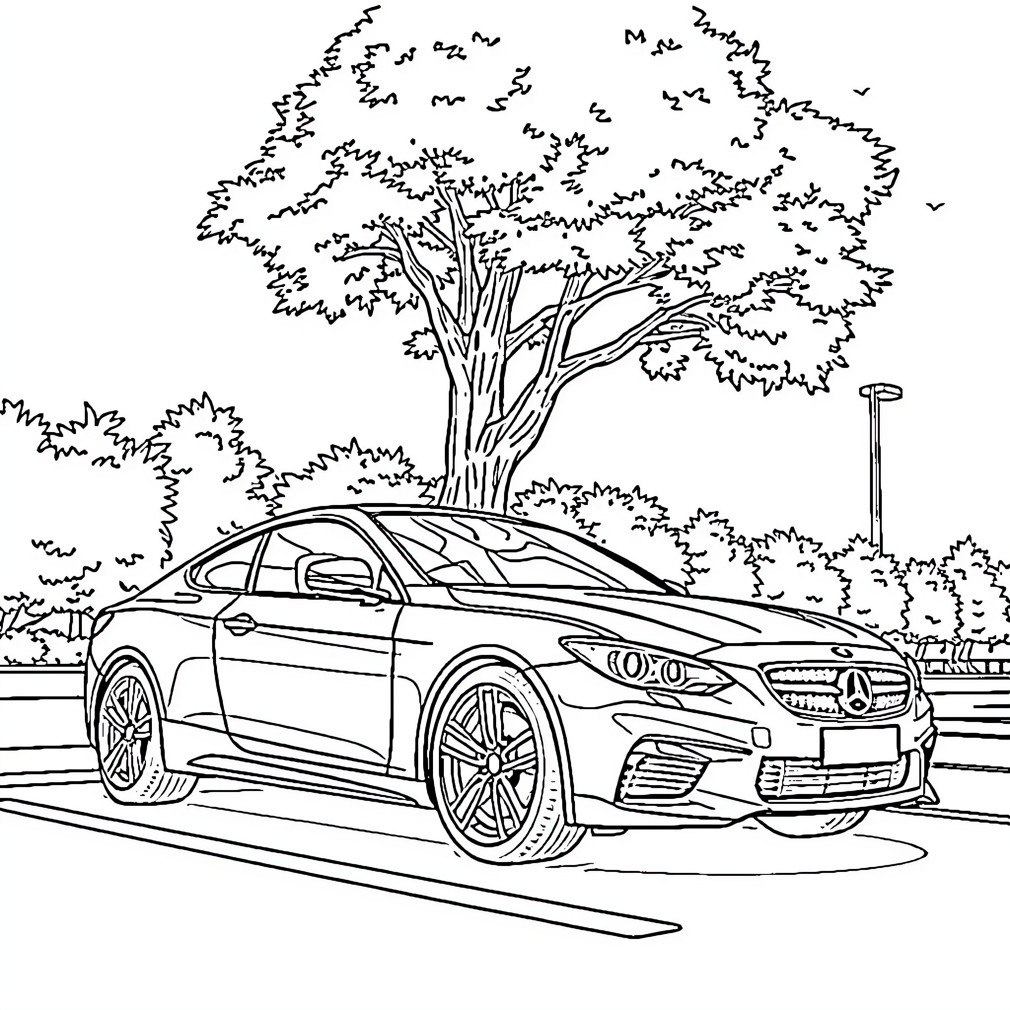 Best Car Coloring Pages (Free Printable PDF)