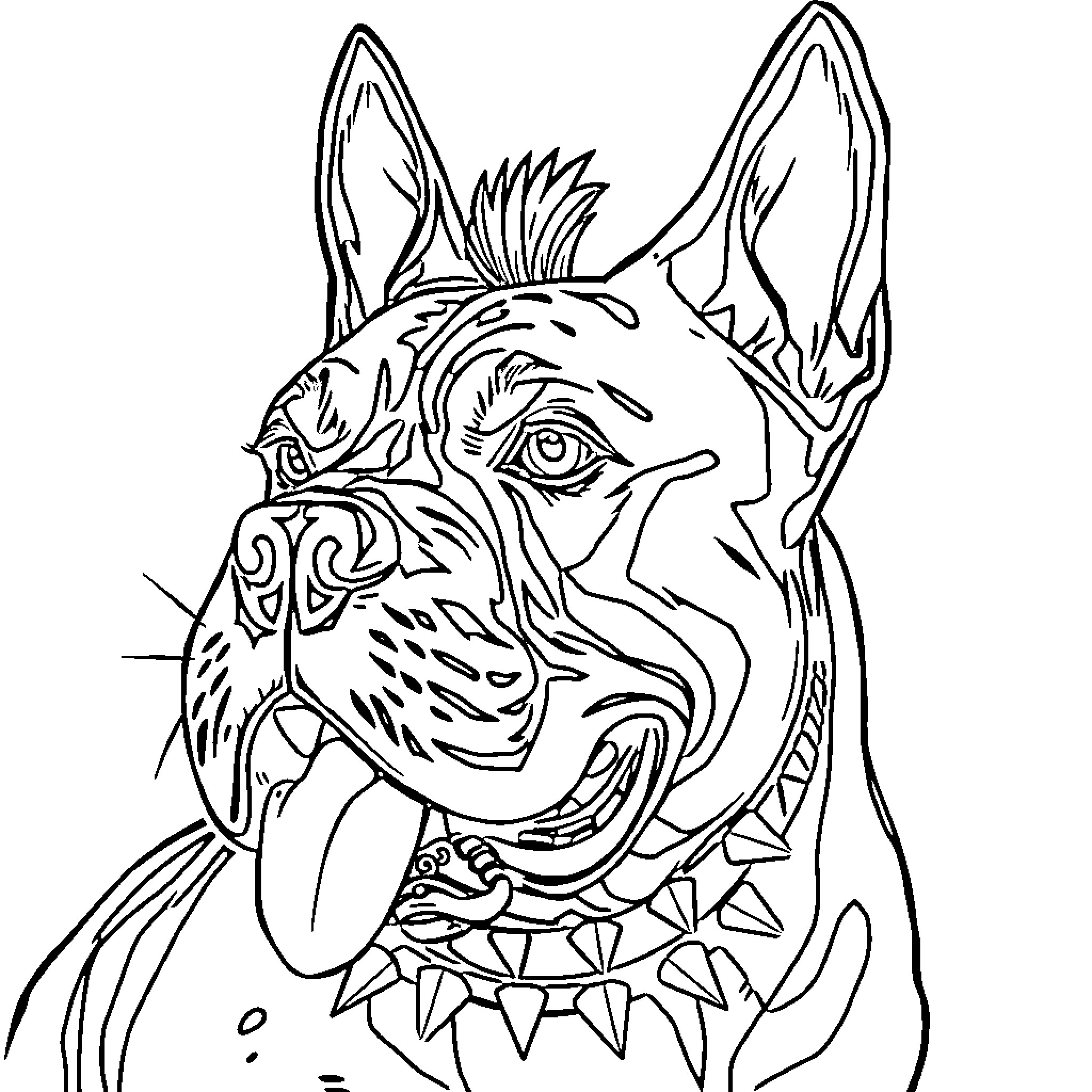 Best Cane Corso Coloring Pages (Free Printable PDF)