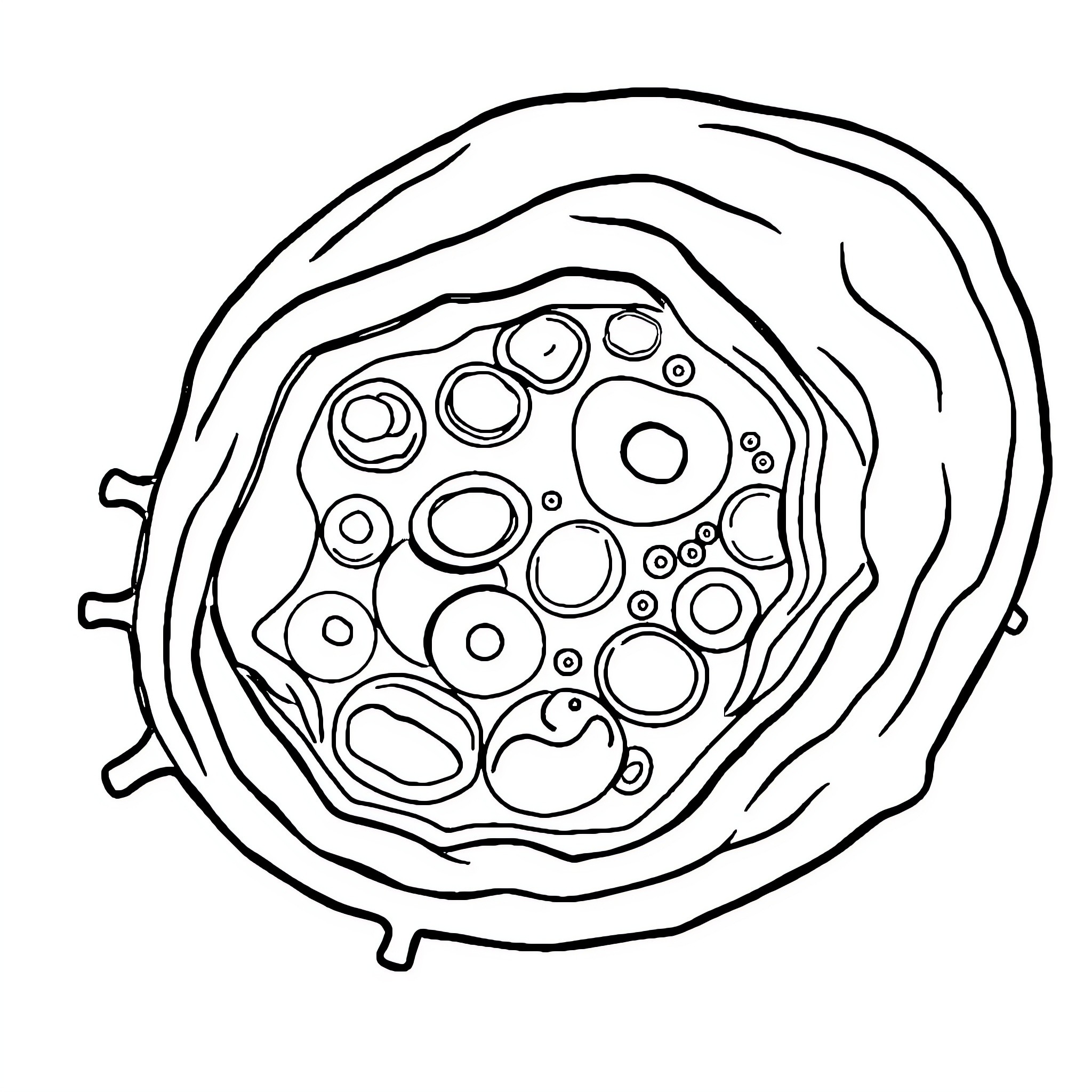 Best Cell Coloring Pages (Free Printable PDF)