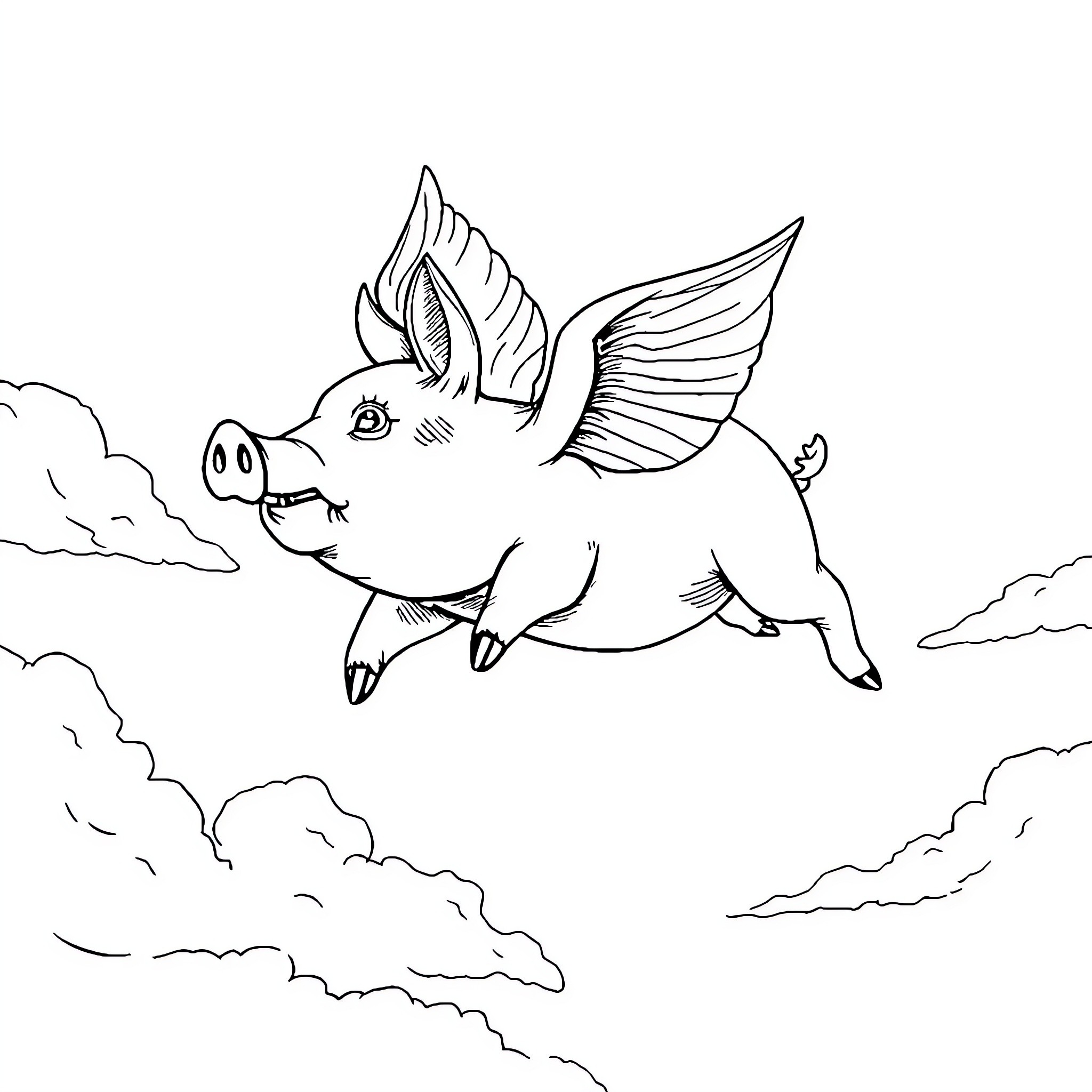 Best Flying Pig Coloring Pages (Free Printable PDF)