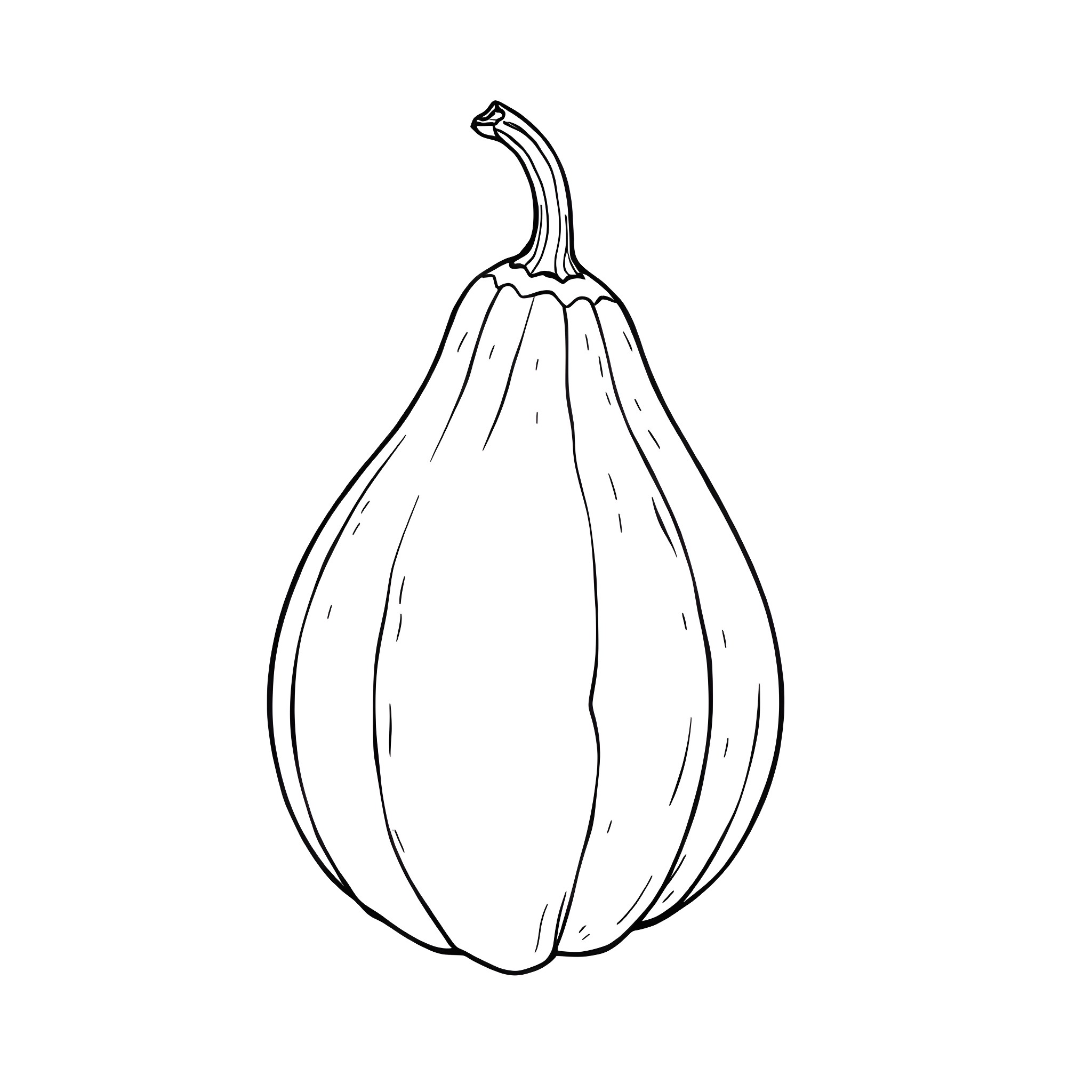 Best Gourd Coloring Pages (Free Printable PDF)