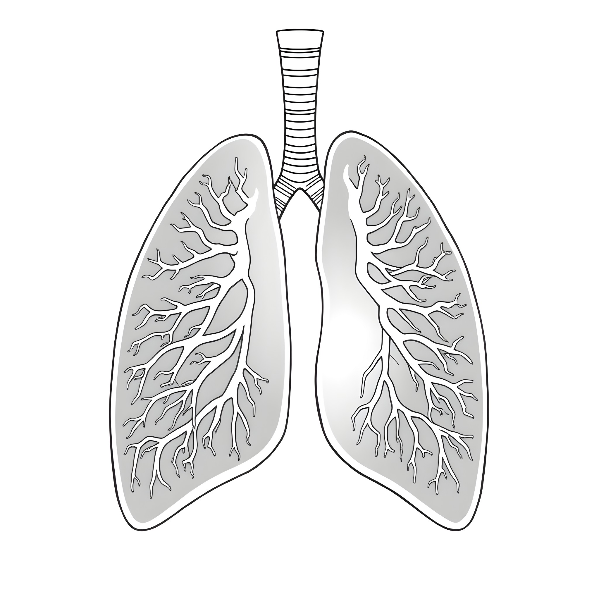 Best Lung Coloring Pages (Free Printable PDF)