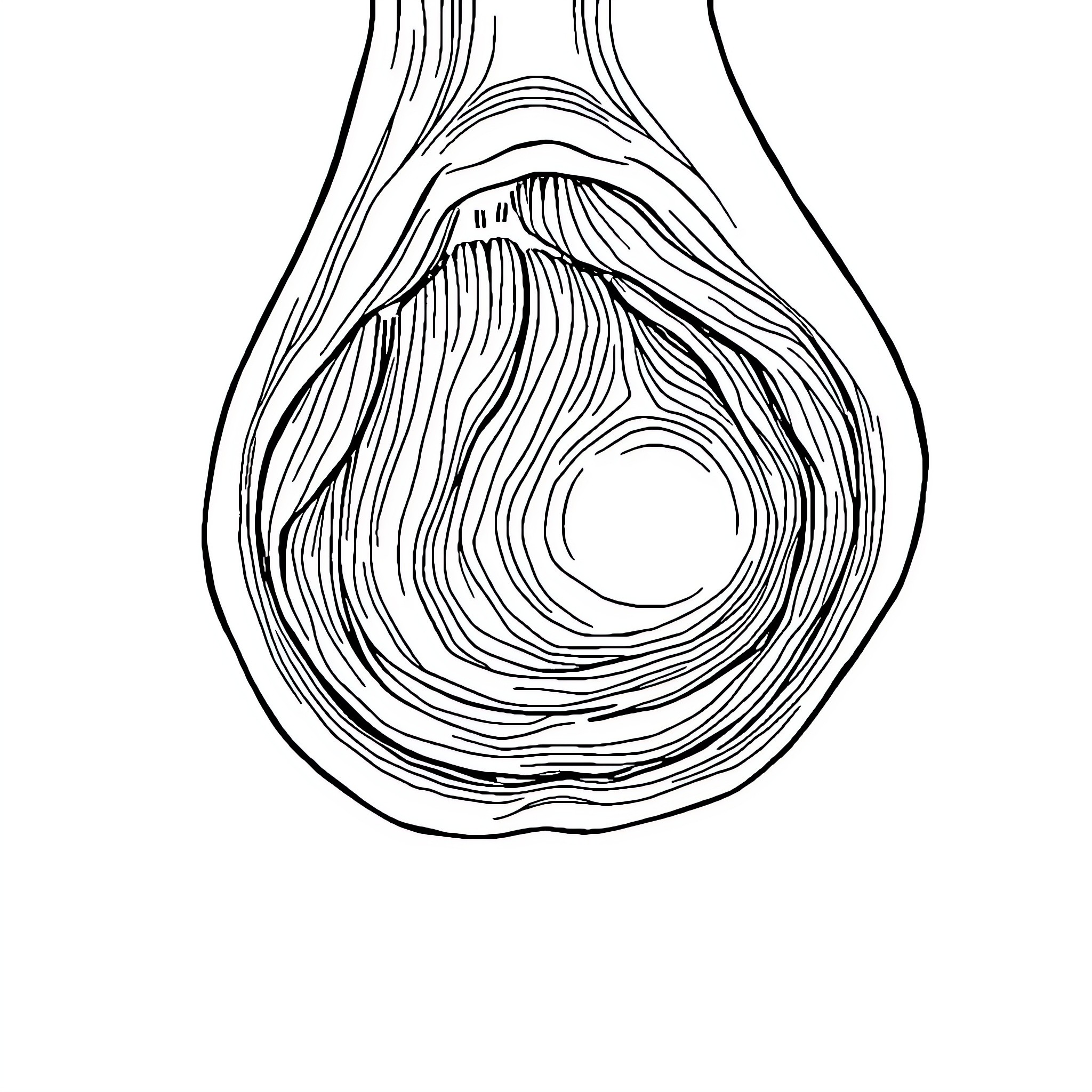 Best MRI Room Coloring Pages (Free Printable PDF)