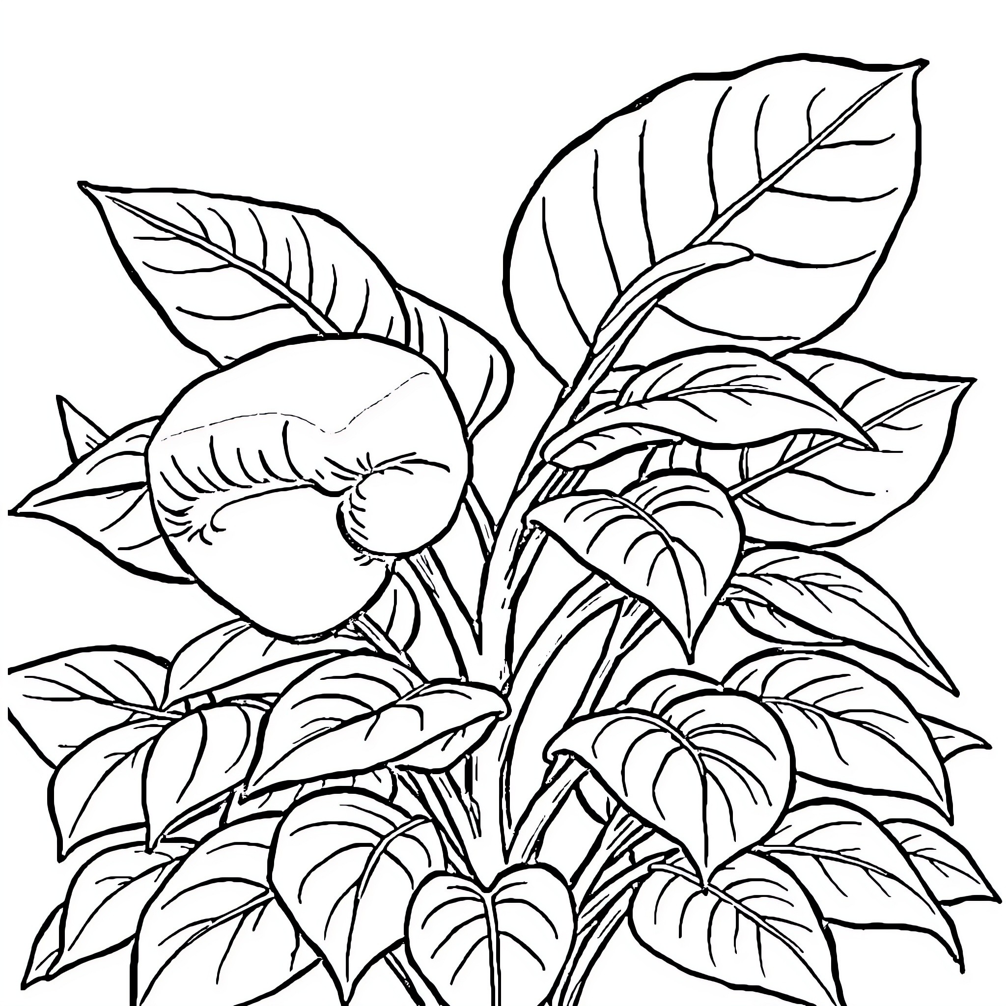 All Coloring Page Collection (With Free Printable PDFs)