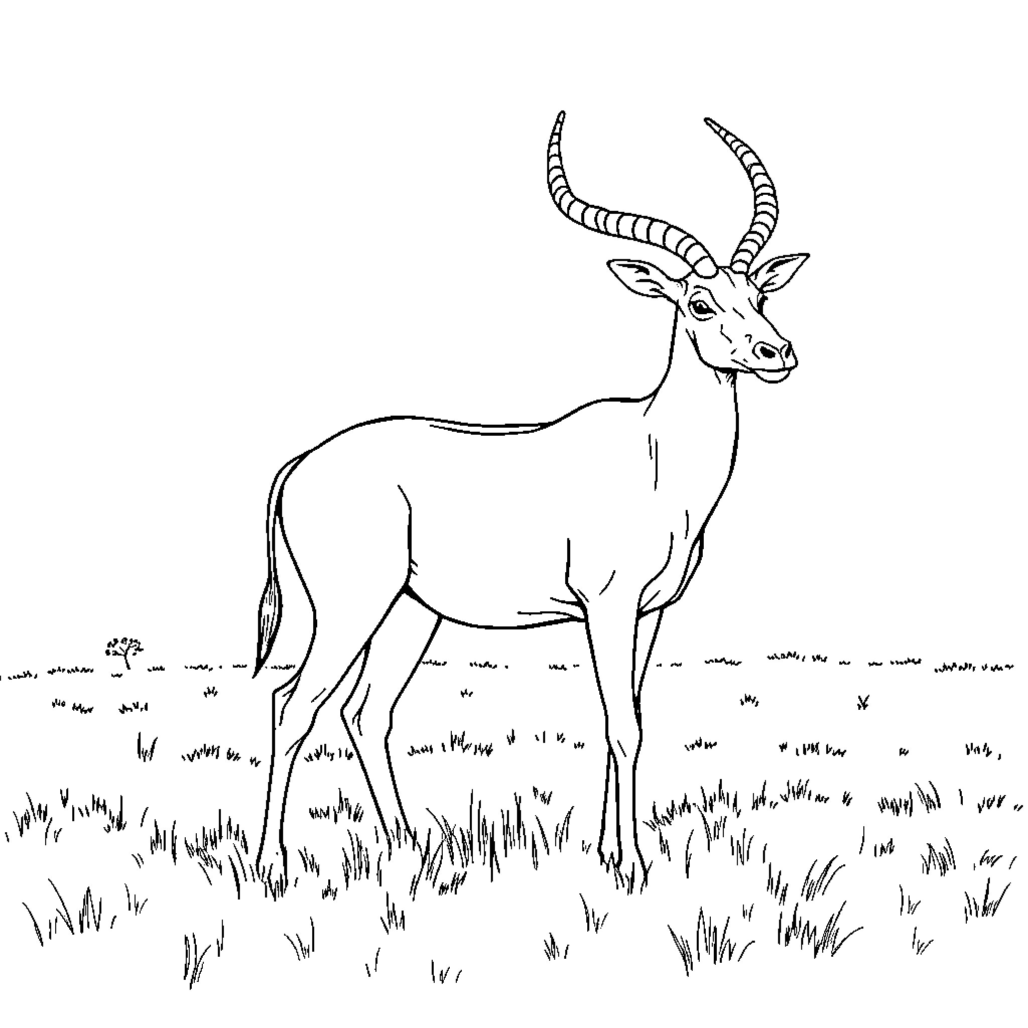 Best Gerber Coloring Pages (Free Printable PDF)