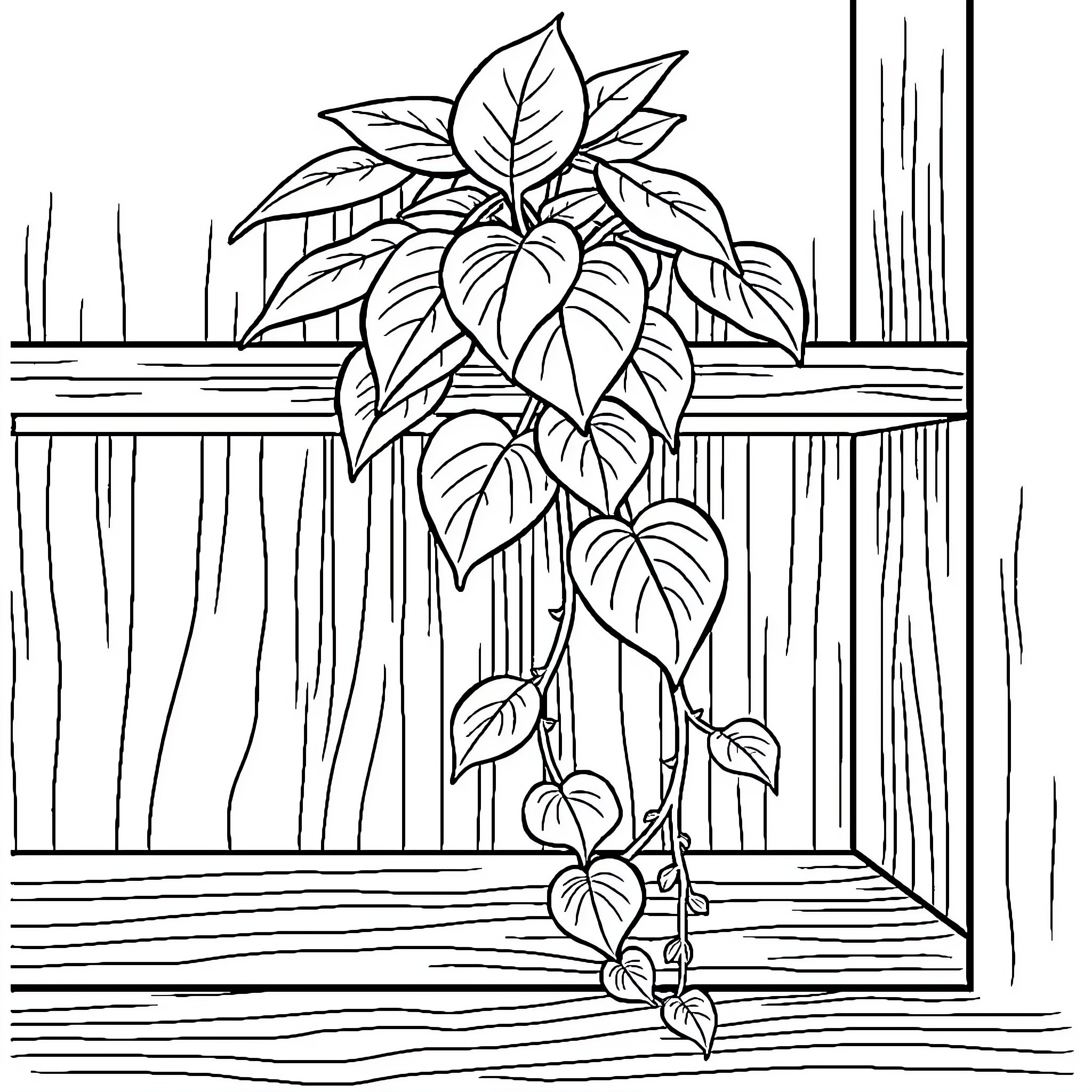 Best Las Vegas Raiders Coloring Pages (Free Printable PDF)