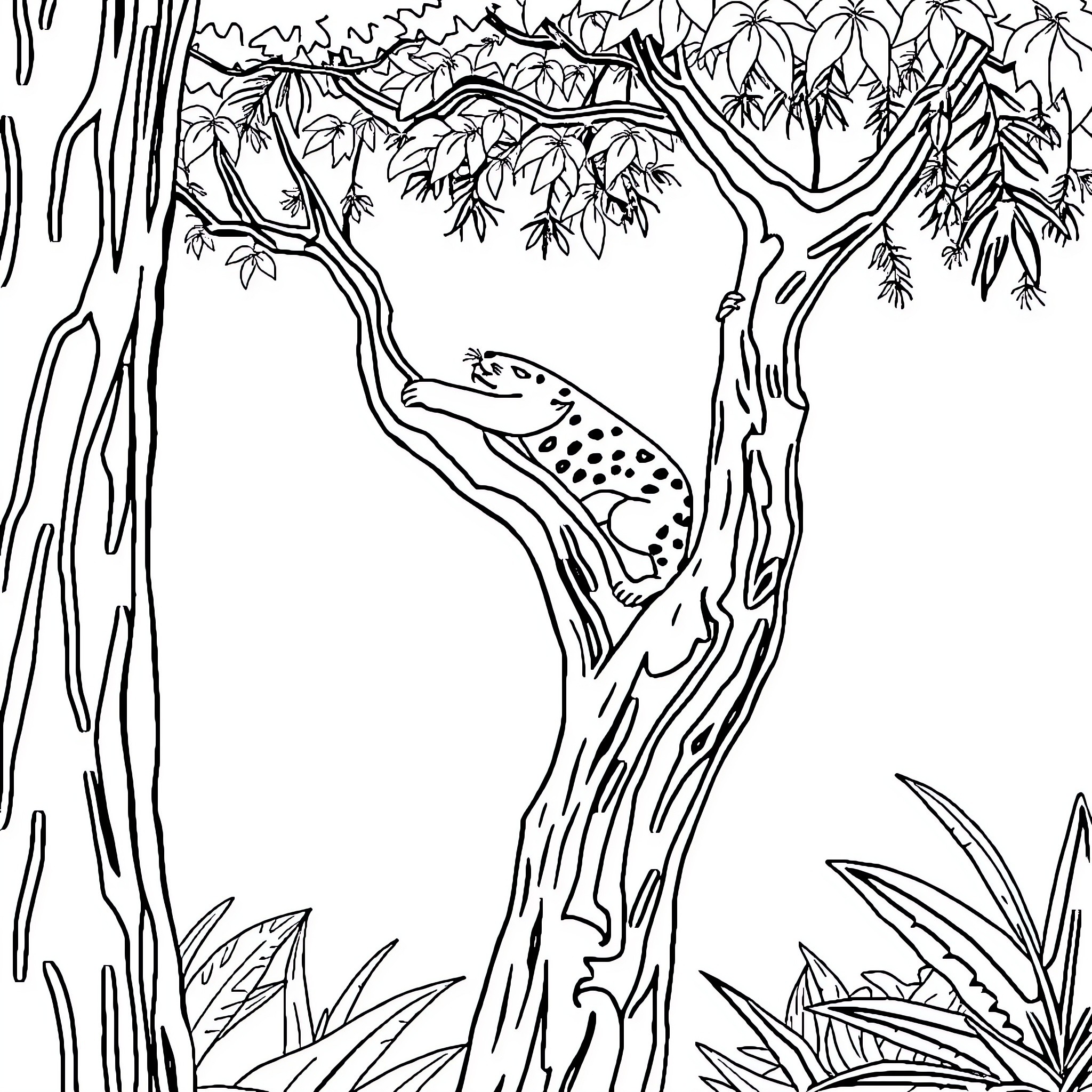 Best Panther Coloring Pages (Free Printable PDF)