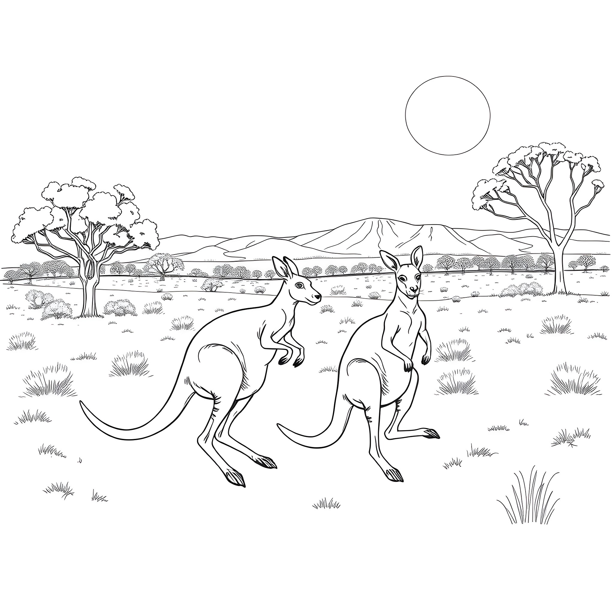 95 Best Kangaroo Coloring Pages (Free Printable PDFs)