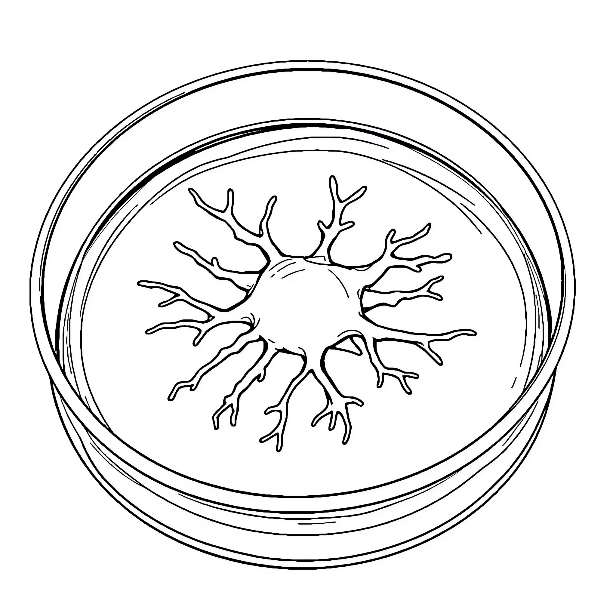 4 Best Neuron Coloring Pages (Free Printable PDFs)