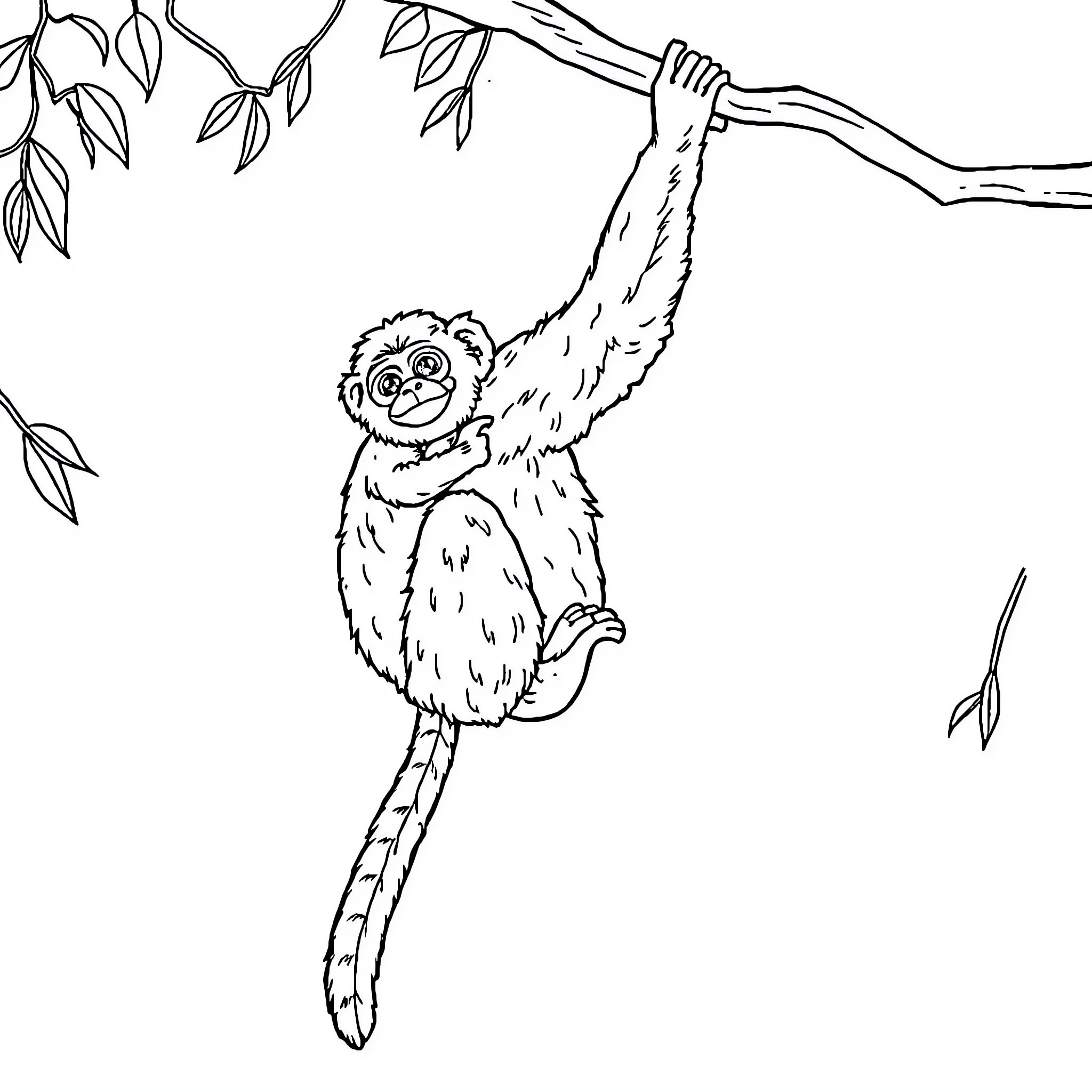 Best Advocate Coloring Pages (Free Printable PDF)