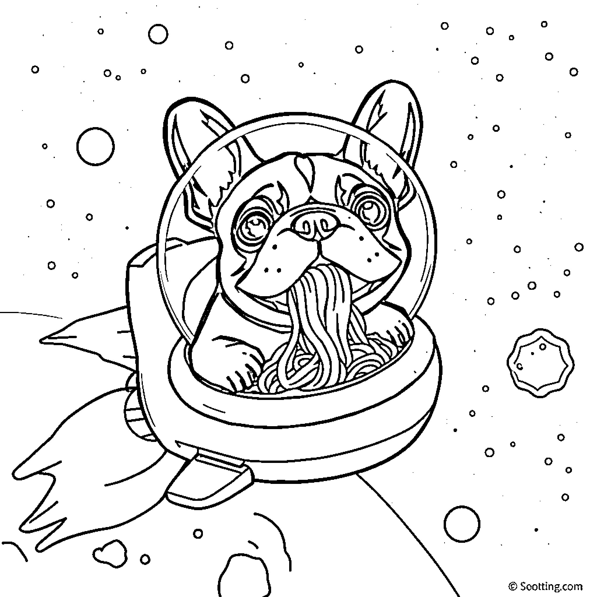 Best Frenchie Coloring Pages (Free Printable PDF)
